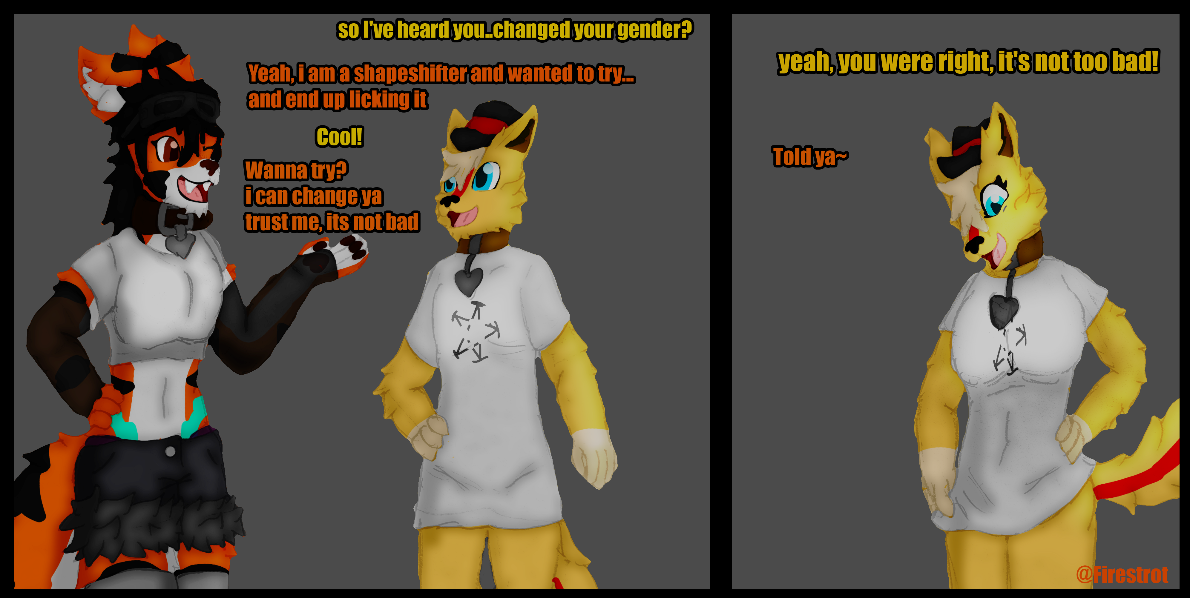 gender_irl | Scrolller