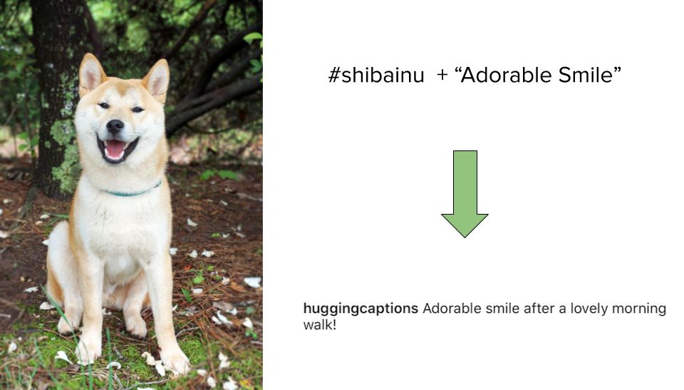 Generate Instagram worthy captions using transformers (repo in comments) | Scrolller