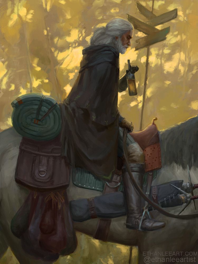 Geralt on the Road by Ethan Lee | Scrolller