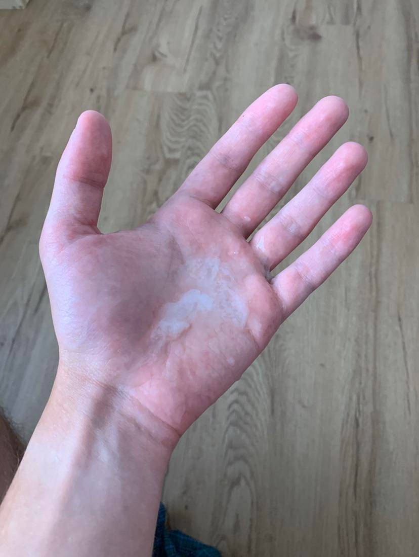 On all fours and you eat it all out of my hand? | Scrolller