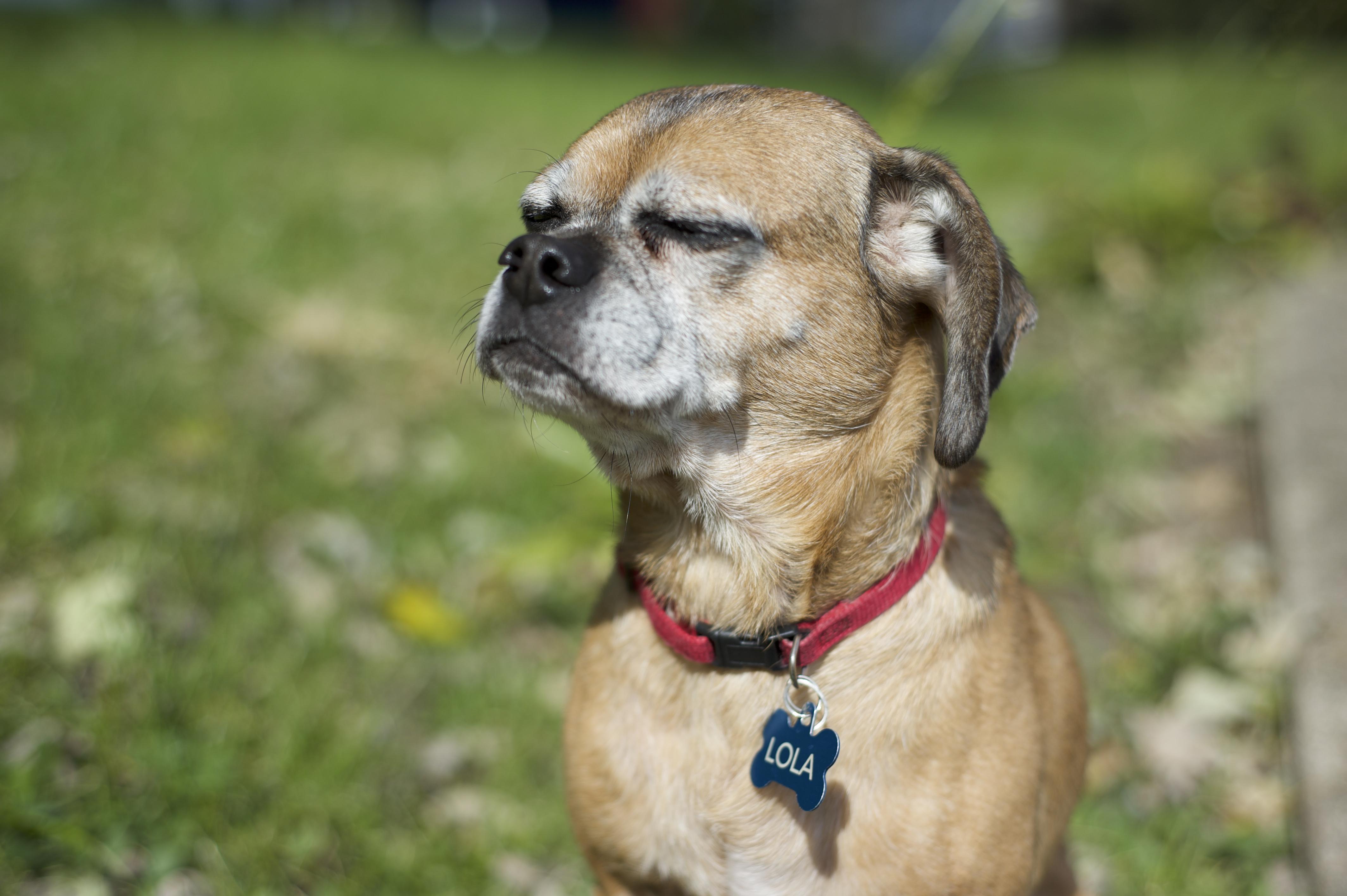 "Get my good side" | Scrolller