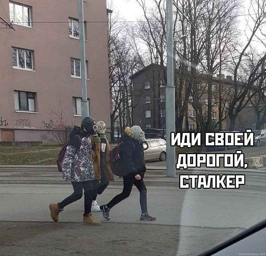 Get Out Of Here, Stalker | Scrolller