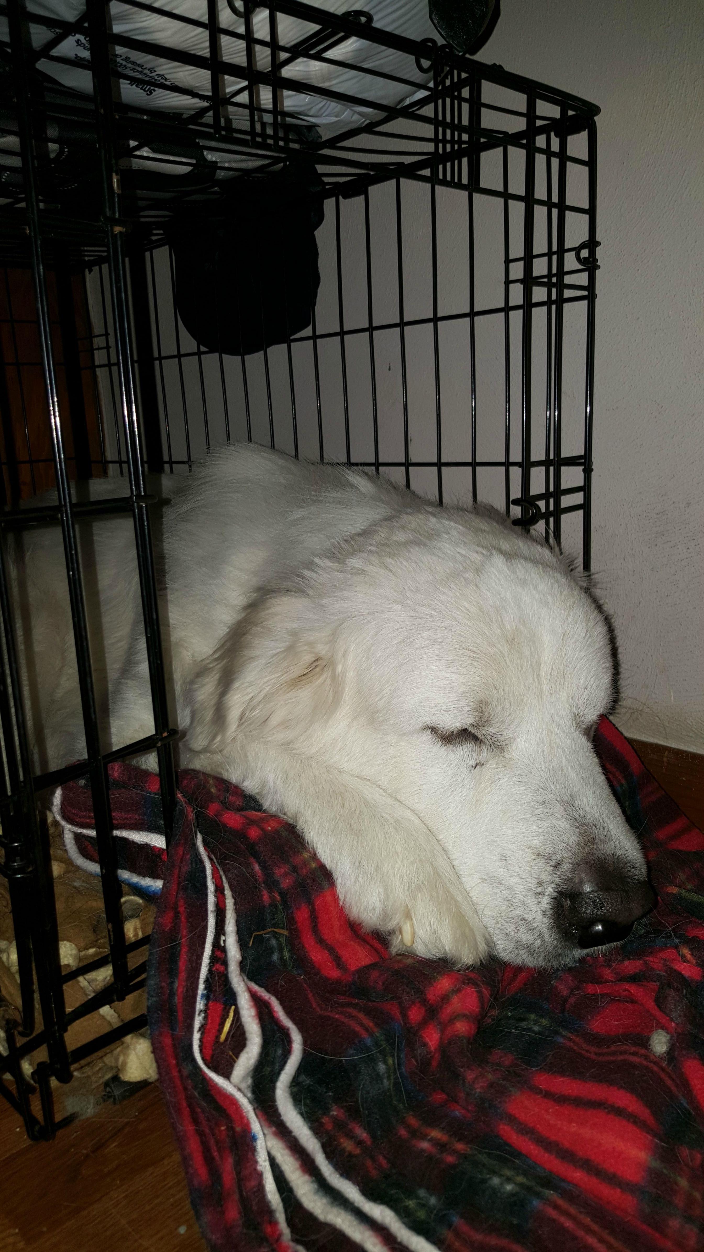 Get Rekt Misty | Scrolller