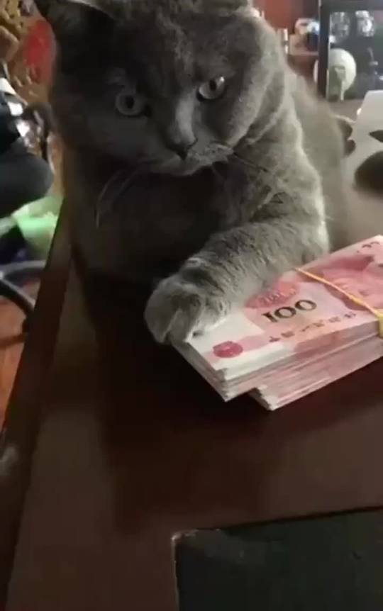 Get your hands off my stacks! | Scrolller