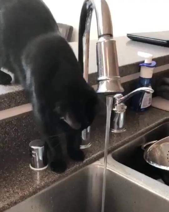 Getting a drink | Scrolller