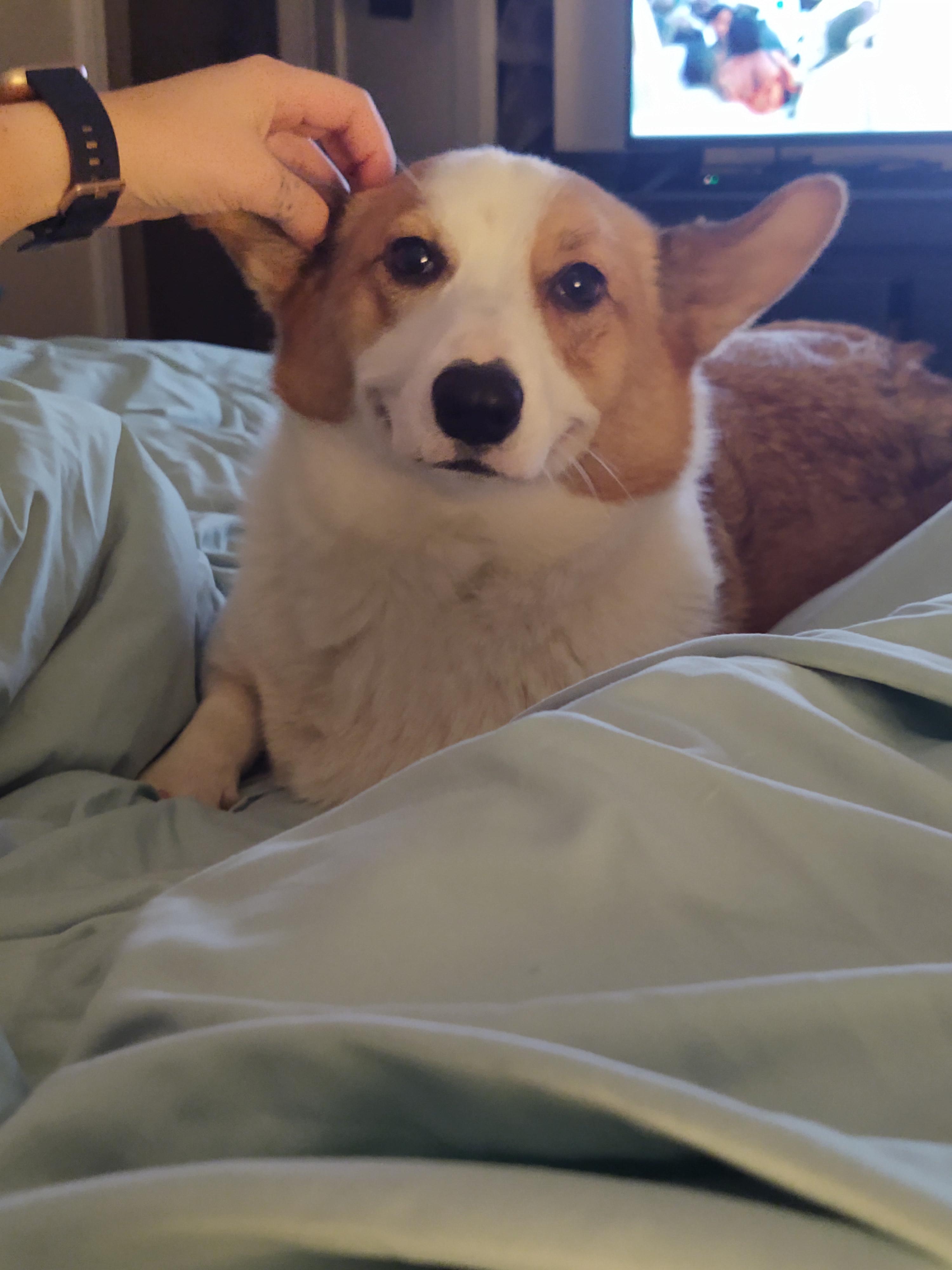 Getting the good scratches | Scrolller