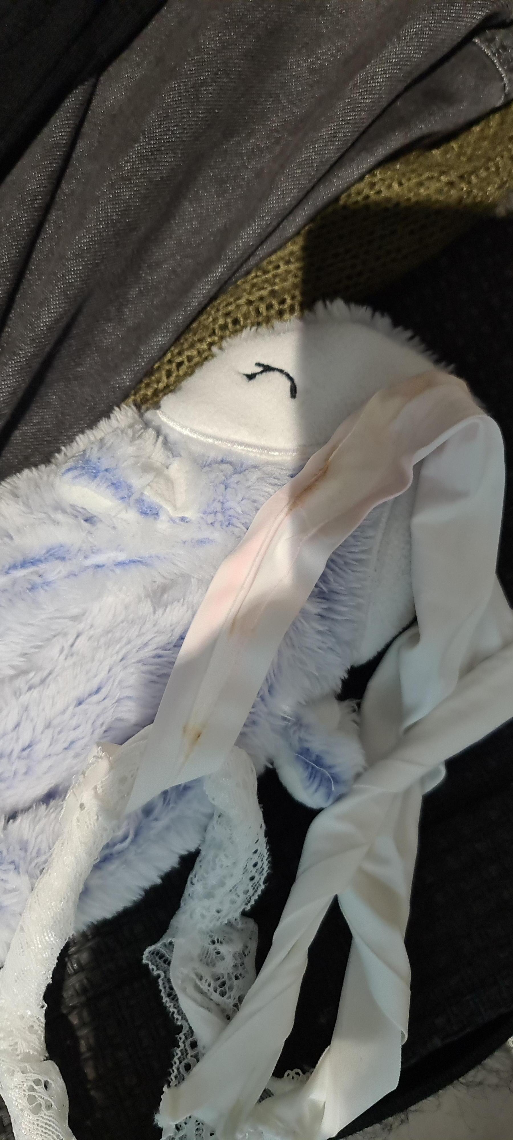 Gfs sisters just taken off | Scrolller