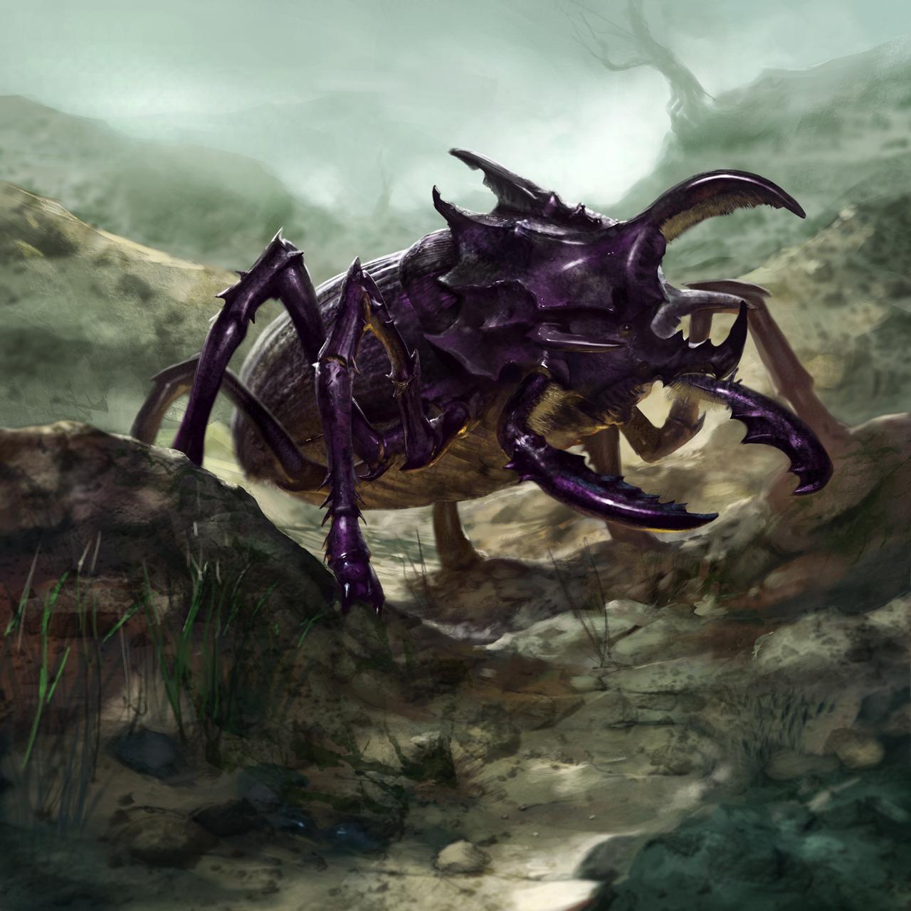 Giant Beetle by Ducos Guillaume | Scrolller