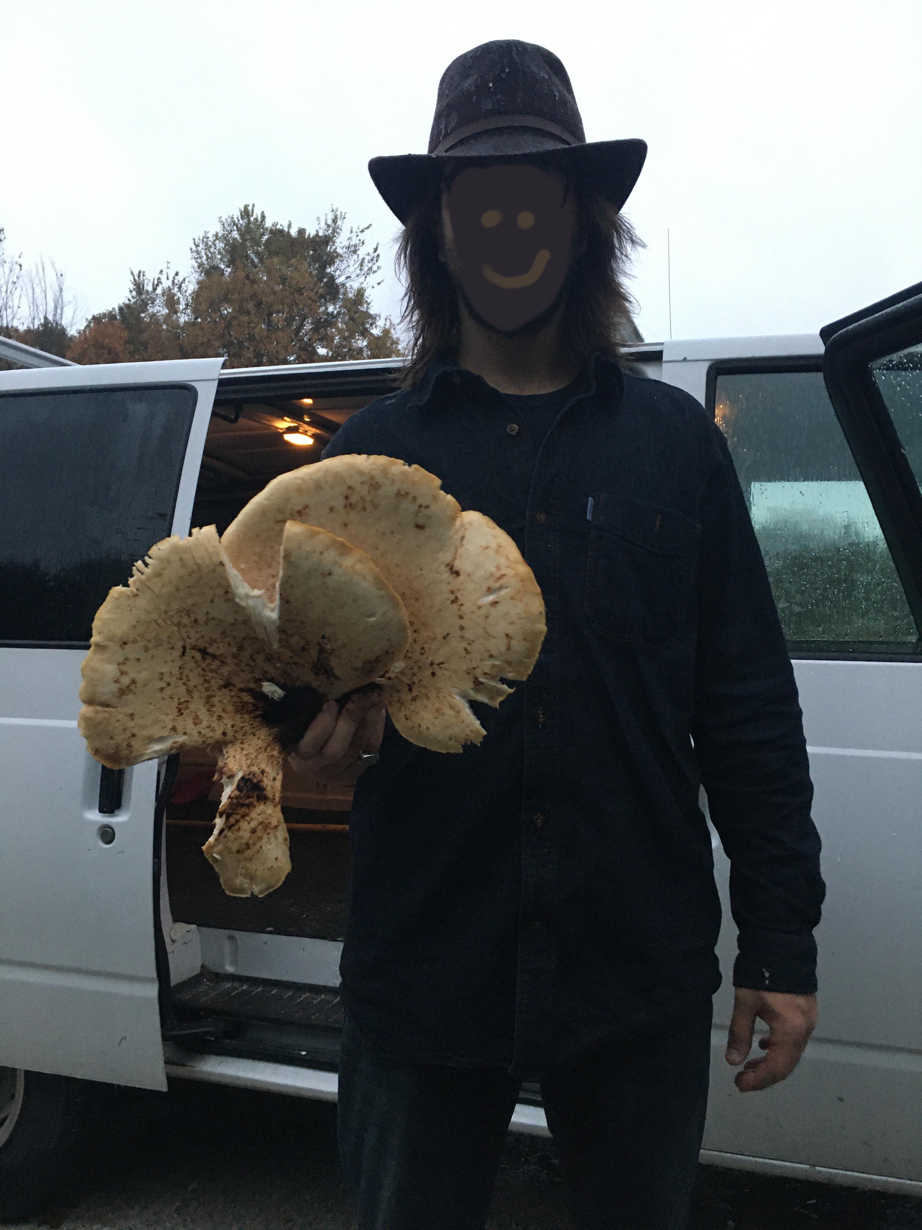 Giant mushroom | Scrolller