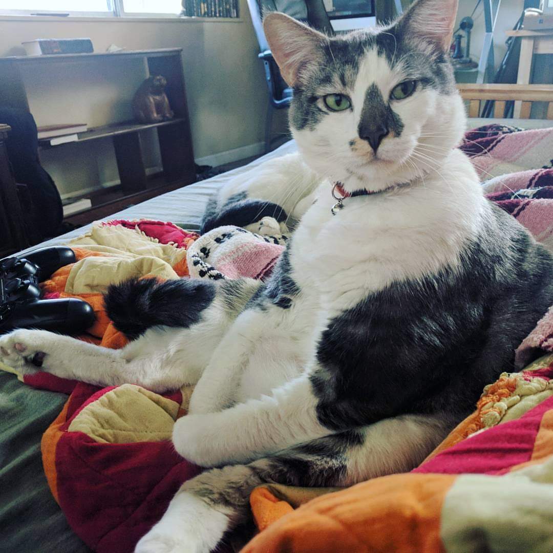 Gibson's favorite position for quiet contemplation. | Scrolller