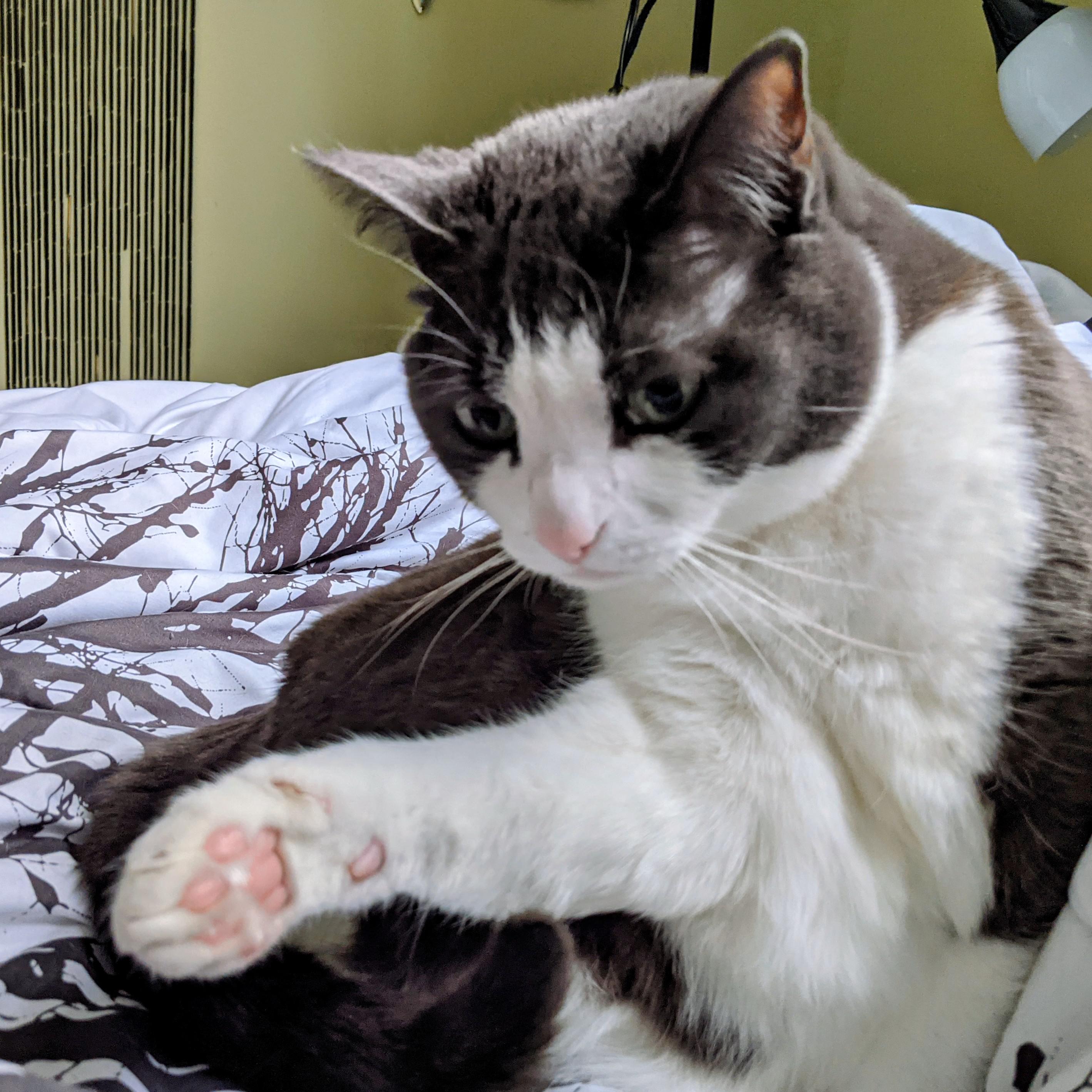 Gimme a high five! | Scrolller