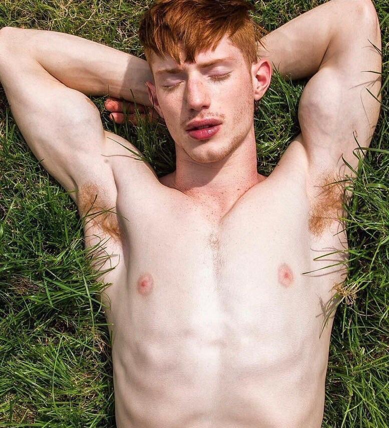 Ginger Pit | Scrolller