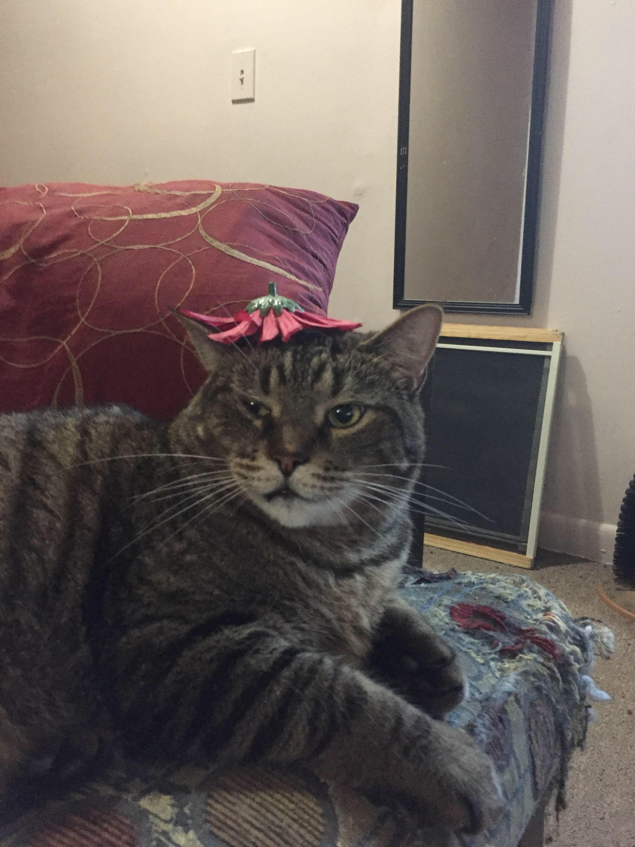 🌺🌺glamour shots | Scrolller