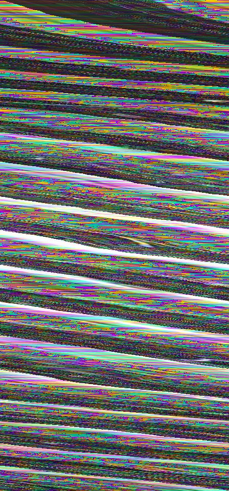 glitched image of moss | Scrolller
