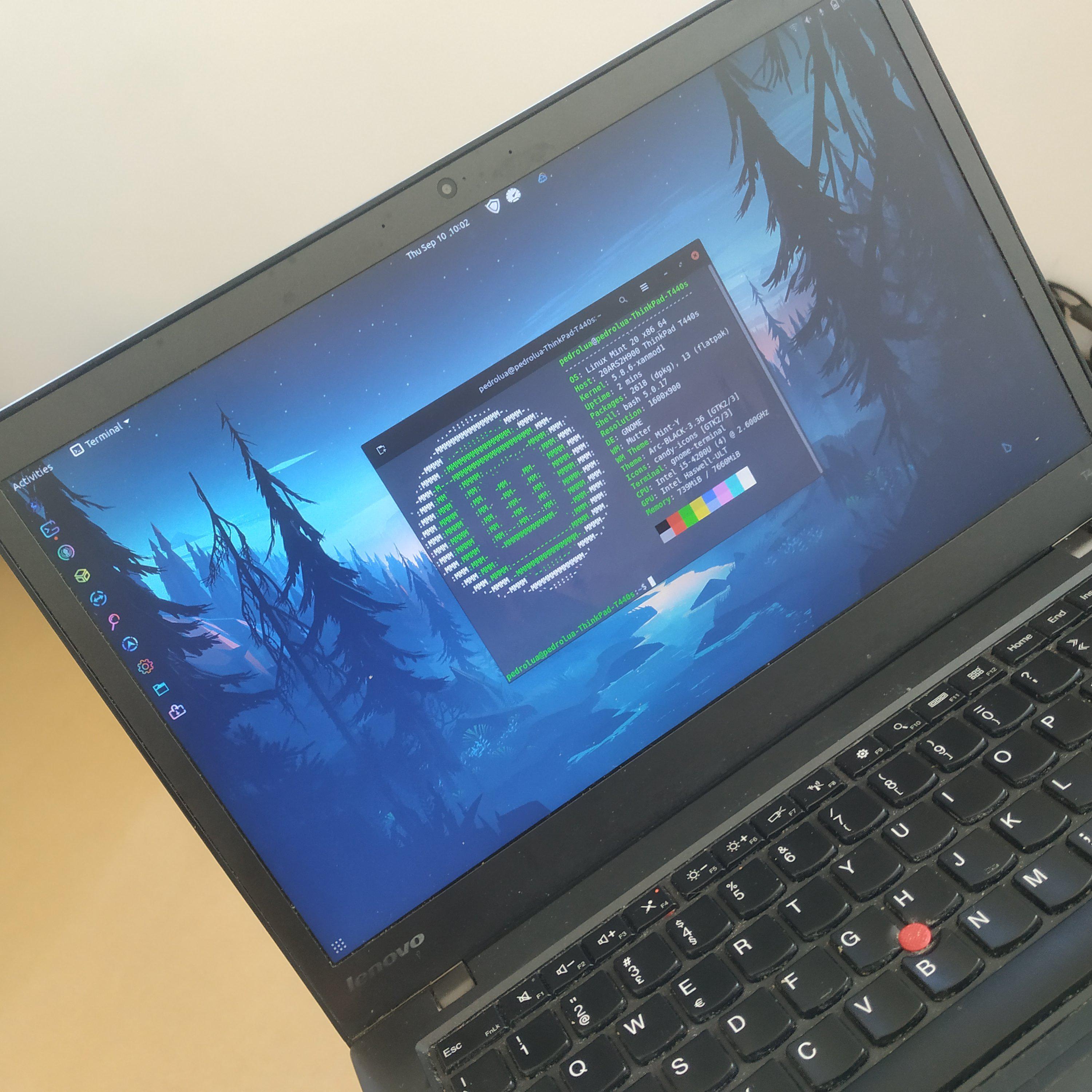 Gnome mint ..... Work laptop | Scrolller