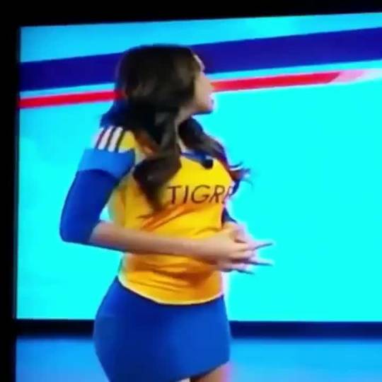 Go tigers! | Scrolller