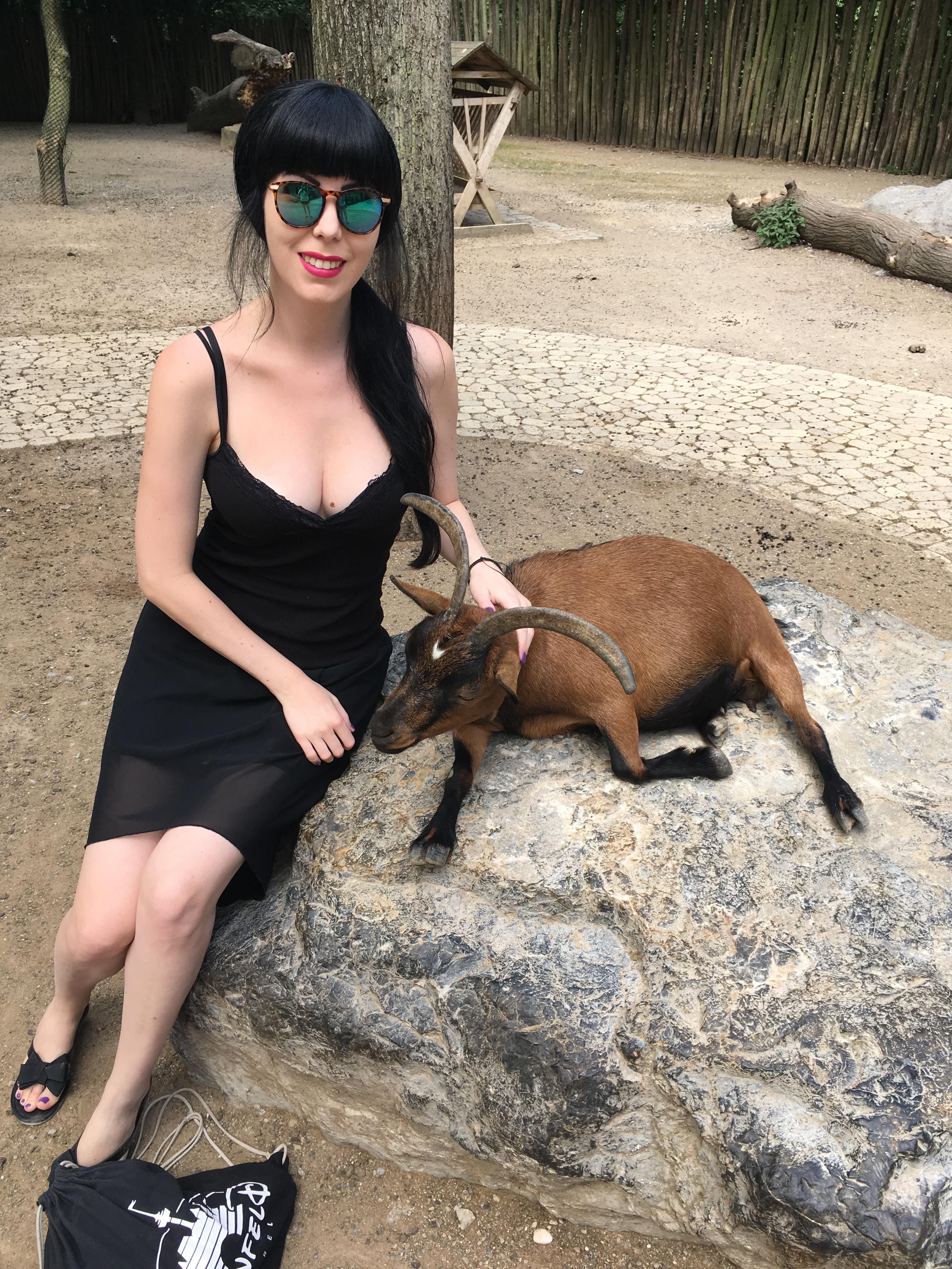 Goats are the best. 🖤 | Scrolller