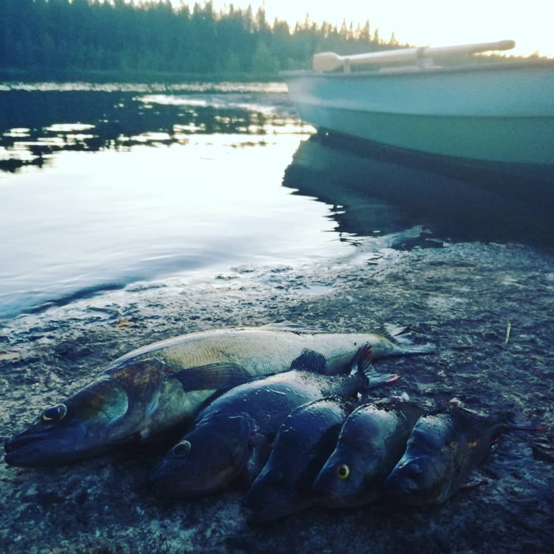 Gone fishing. | Scrolller