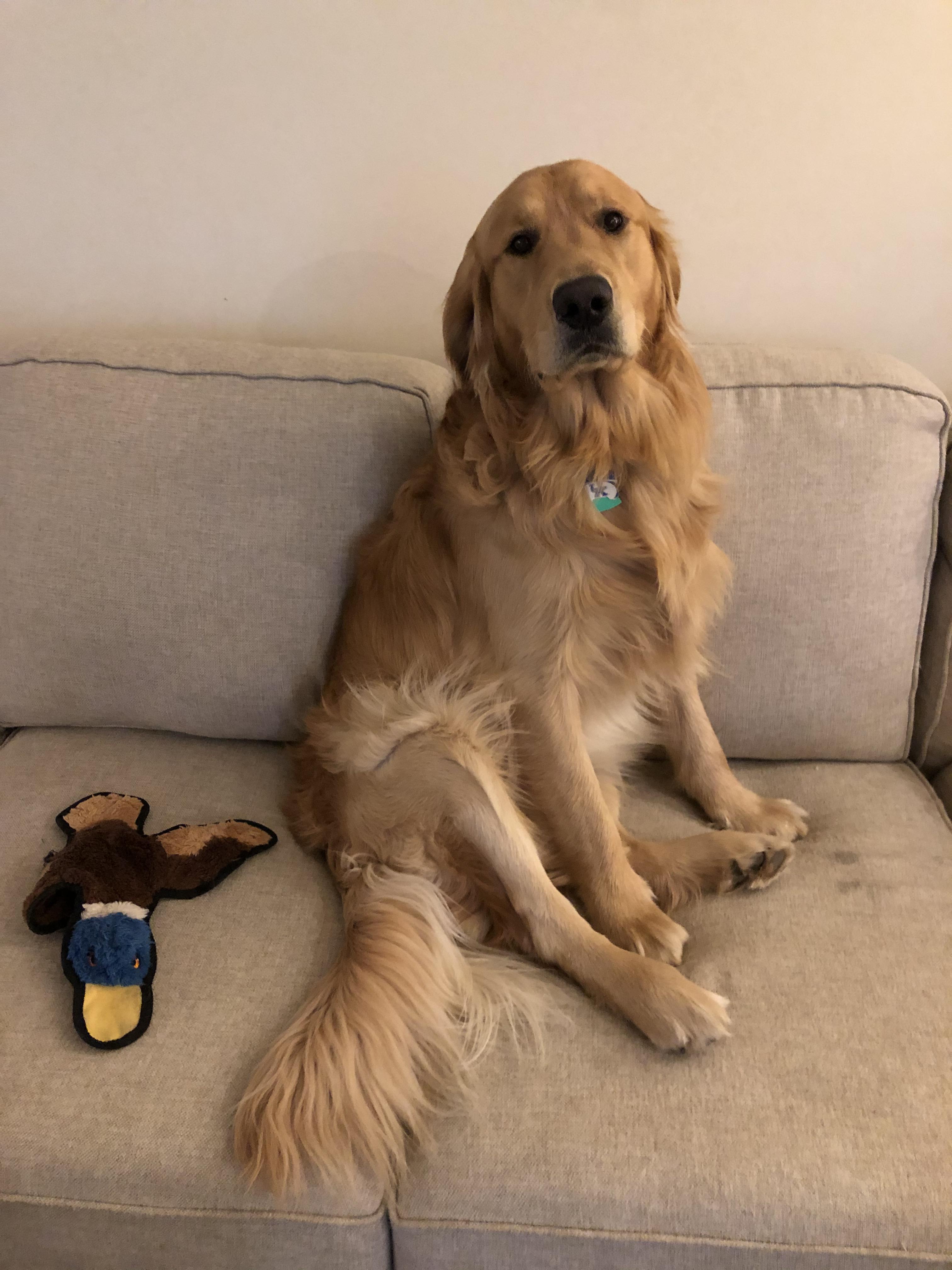 Good boy and his catch | Scrolller