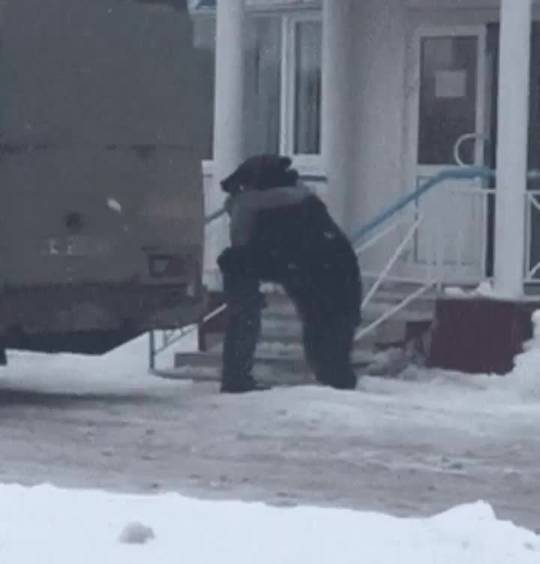 Good dog | Scrolller