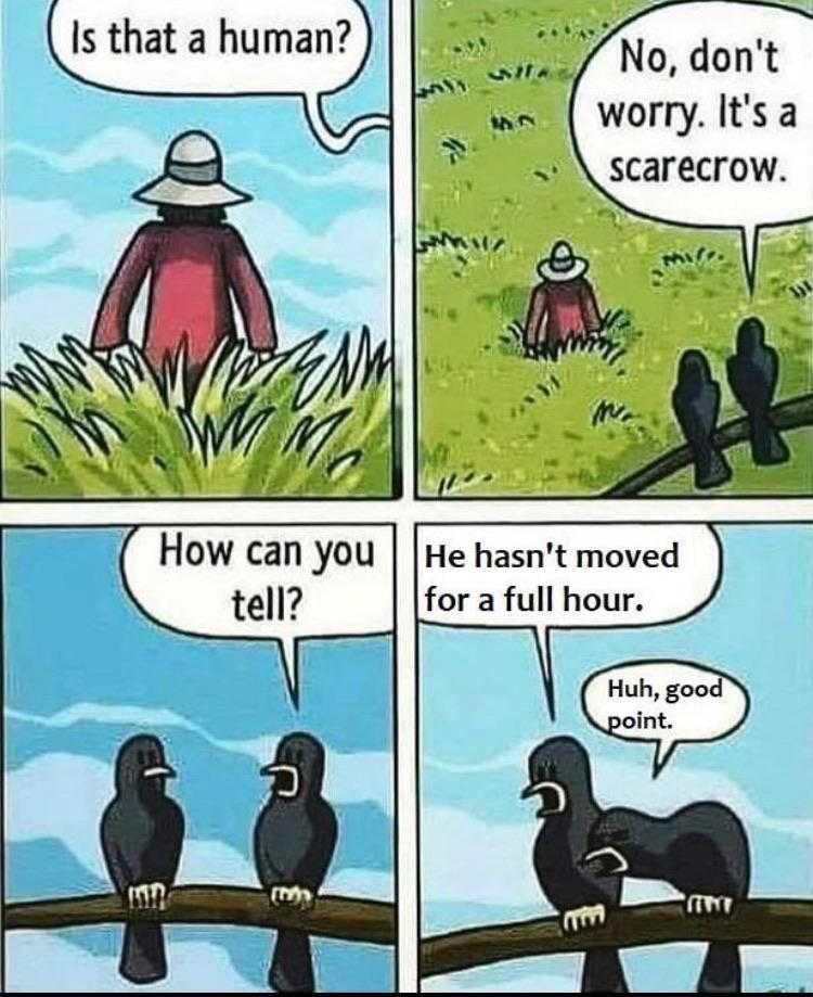 Good Point | Scrolller