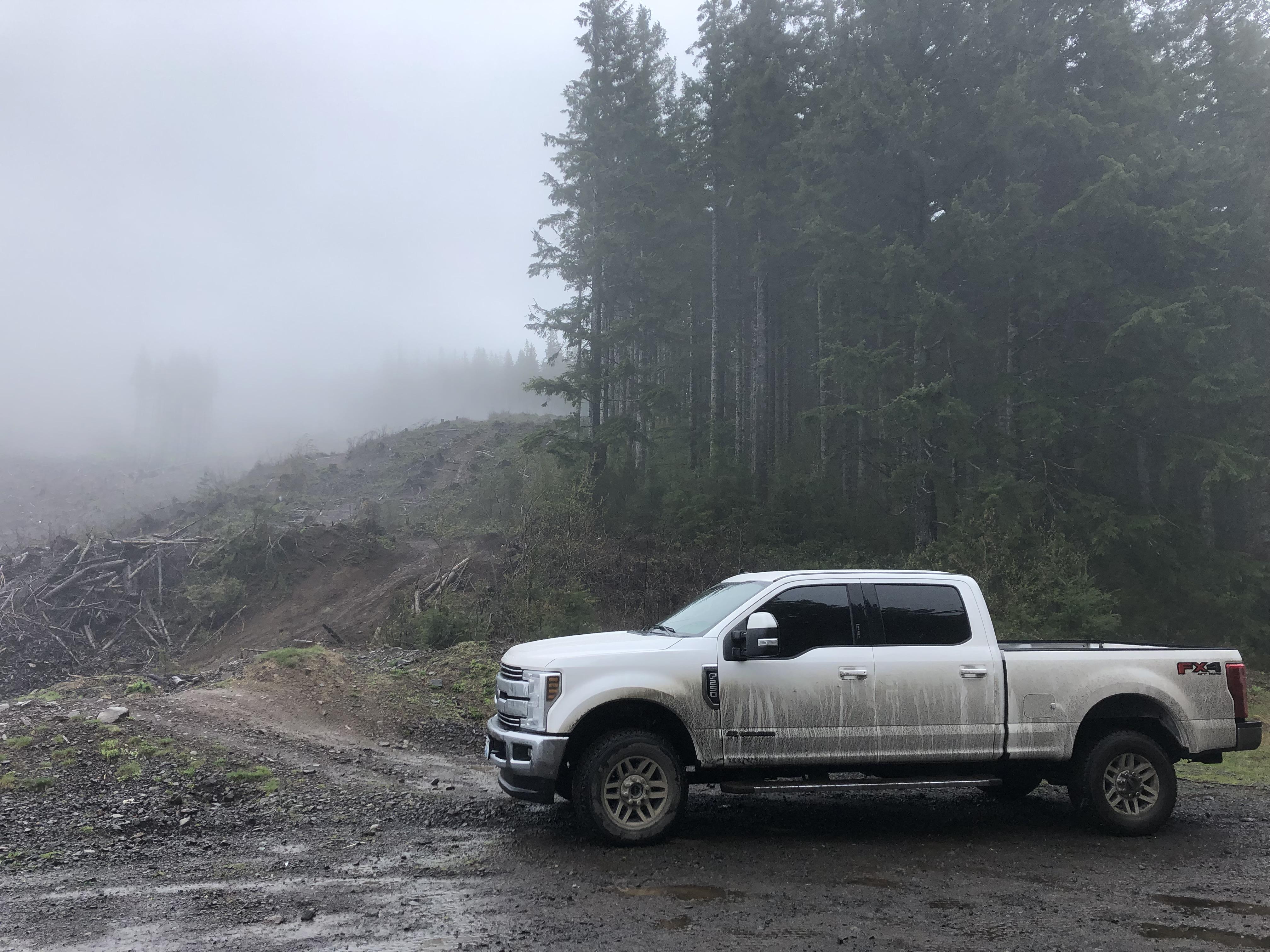 Good times in rainy Washington State. | Scrolller