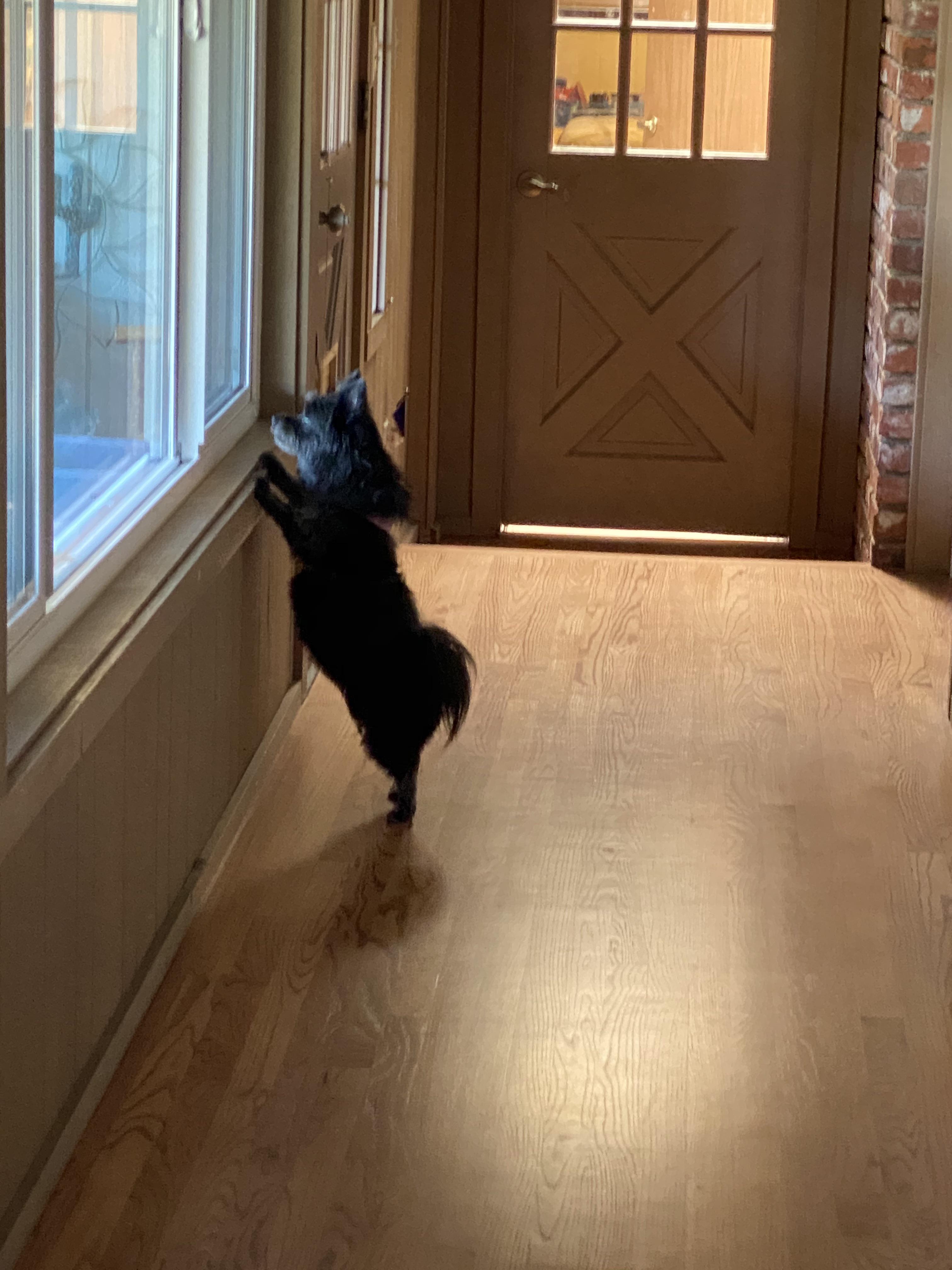 Goodbye 2020. | Scrolller