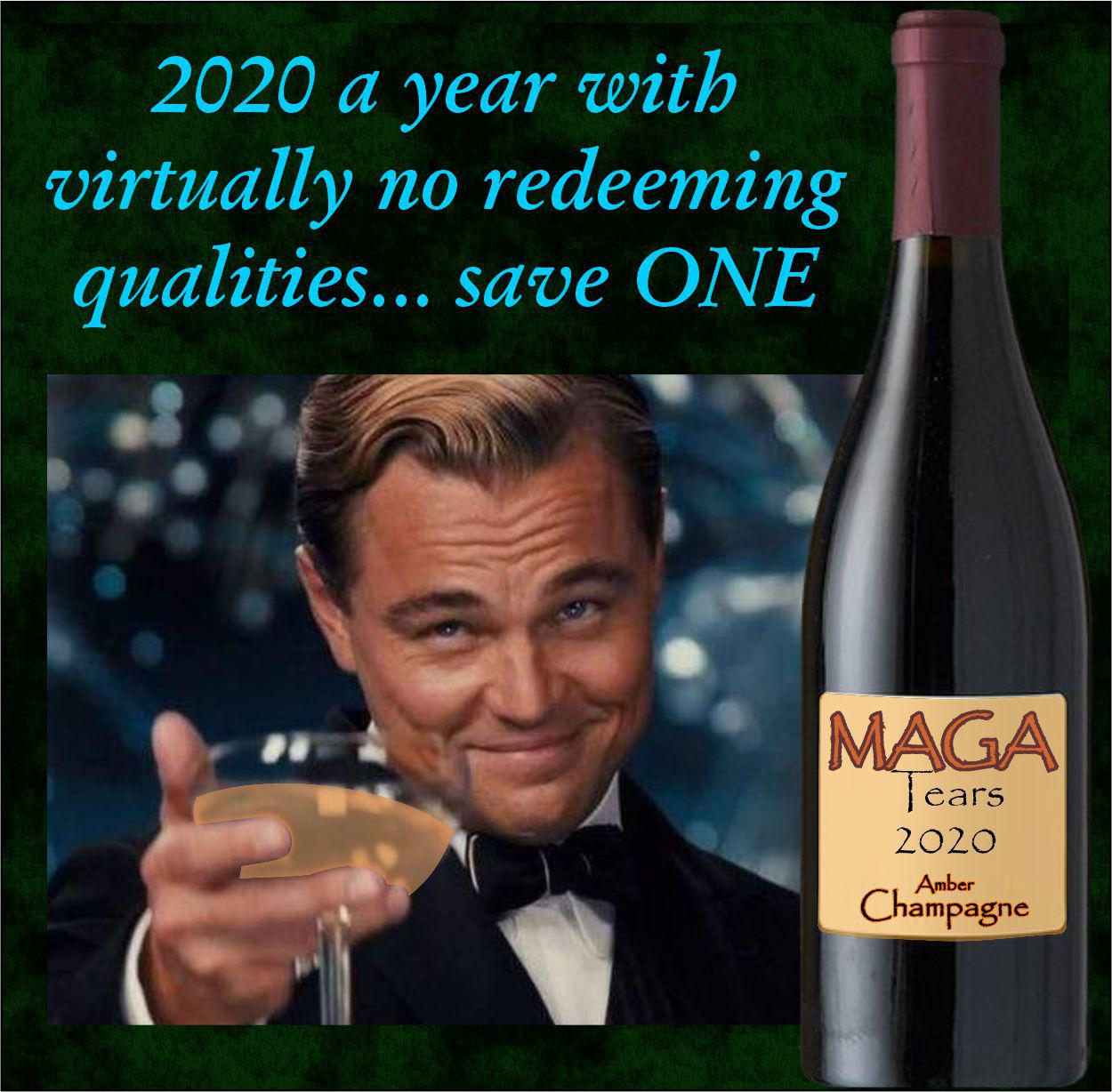 Goodbye 2020, you won't be missed... but thanks for excising the Orange cancer from the W.H ...