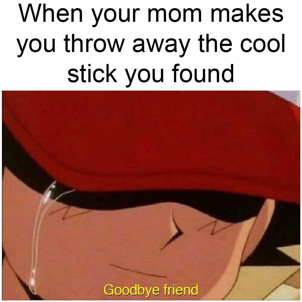 Goodbye friend | Scrolller