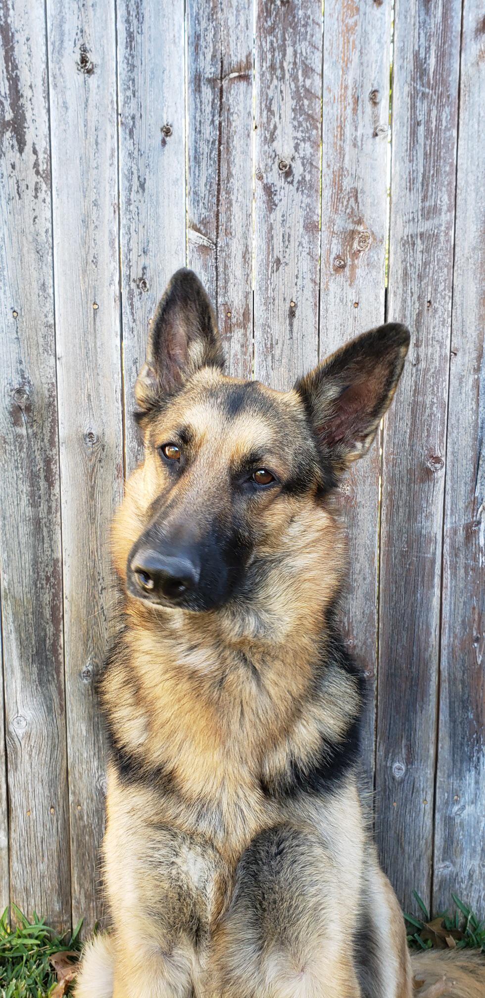 Goodmorning from Micah | Scrolller