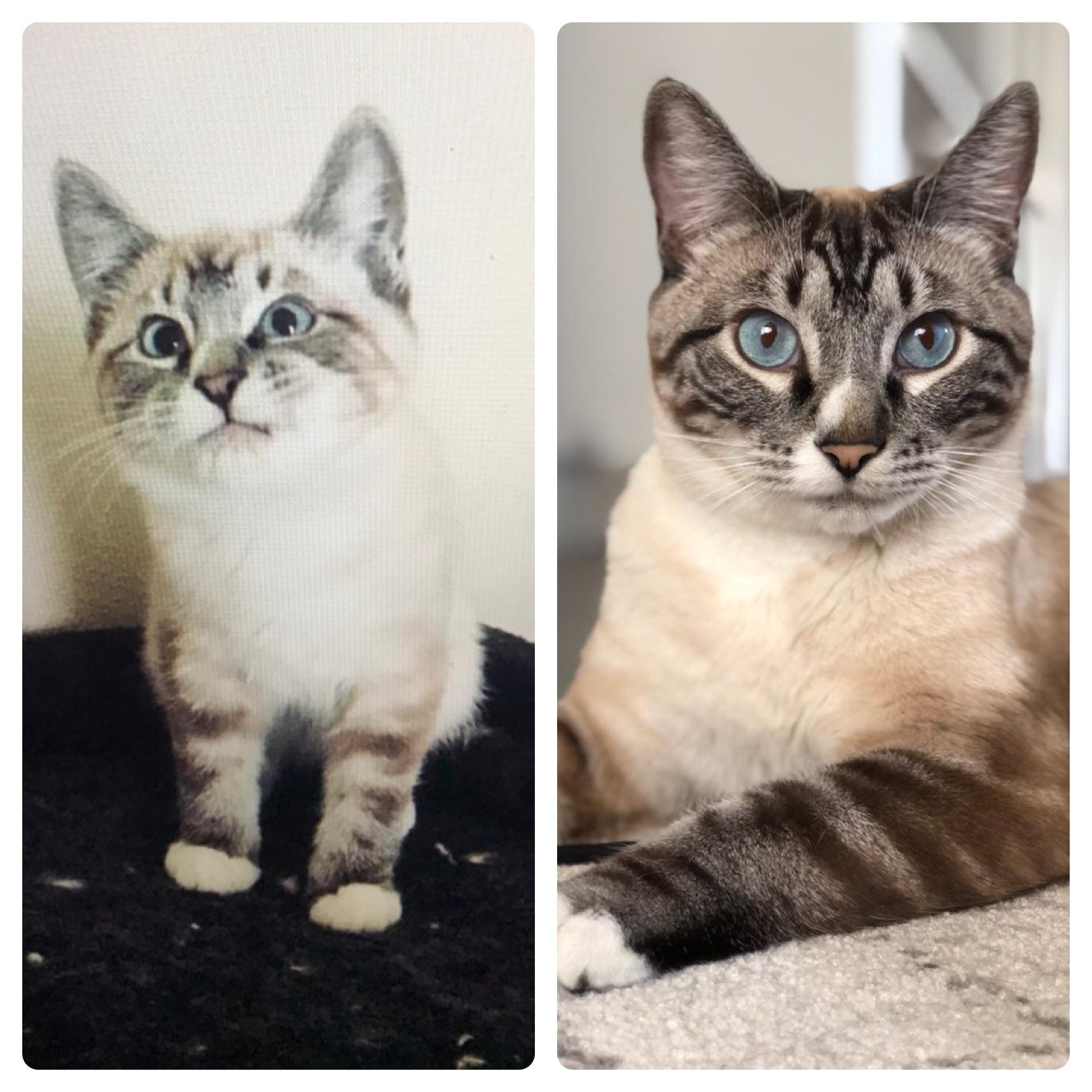 Goofy boy to handsome boy | Scrolller