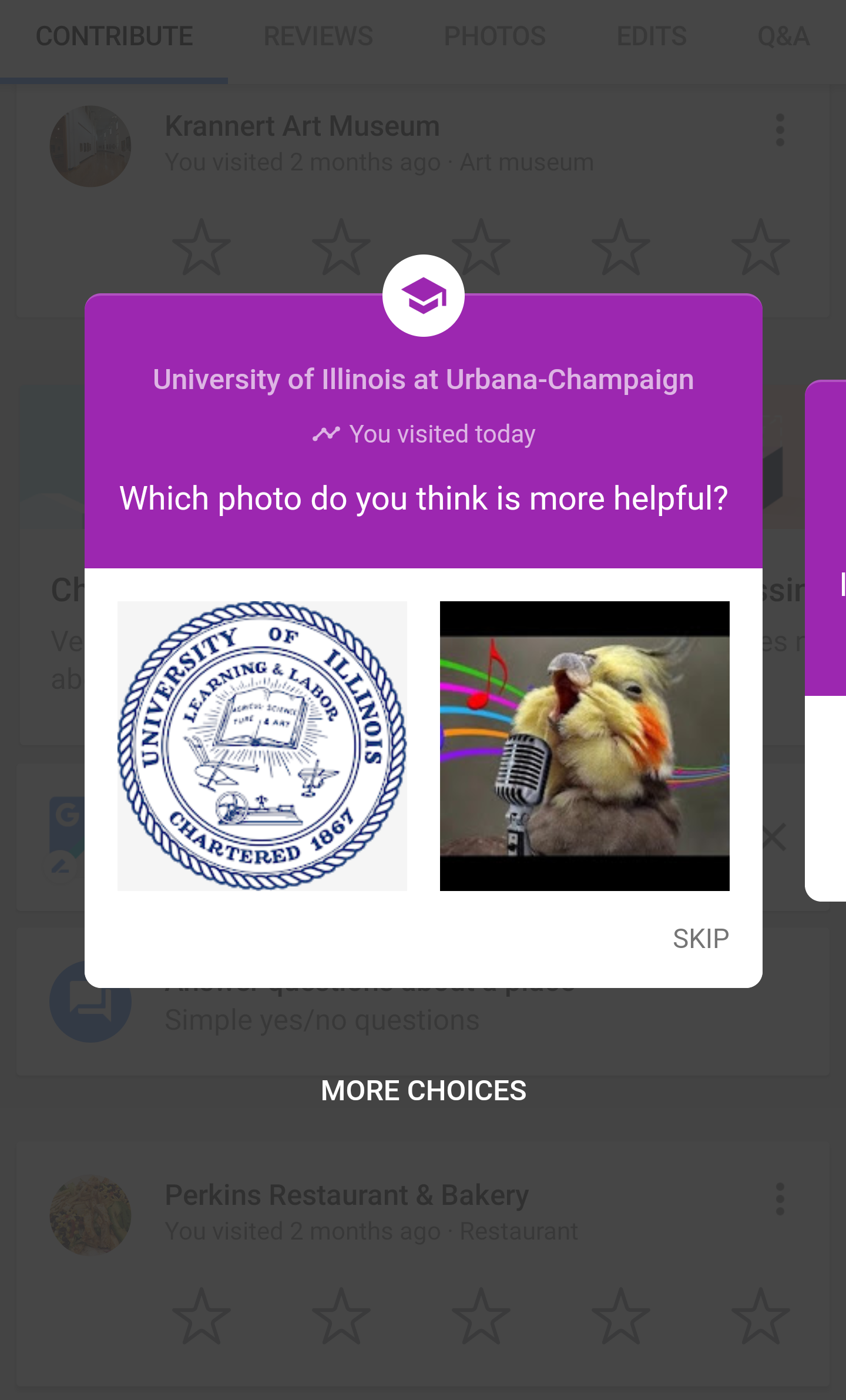 Google asking the important questions | Scrolller