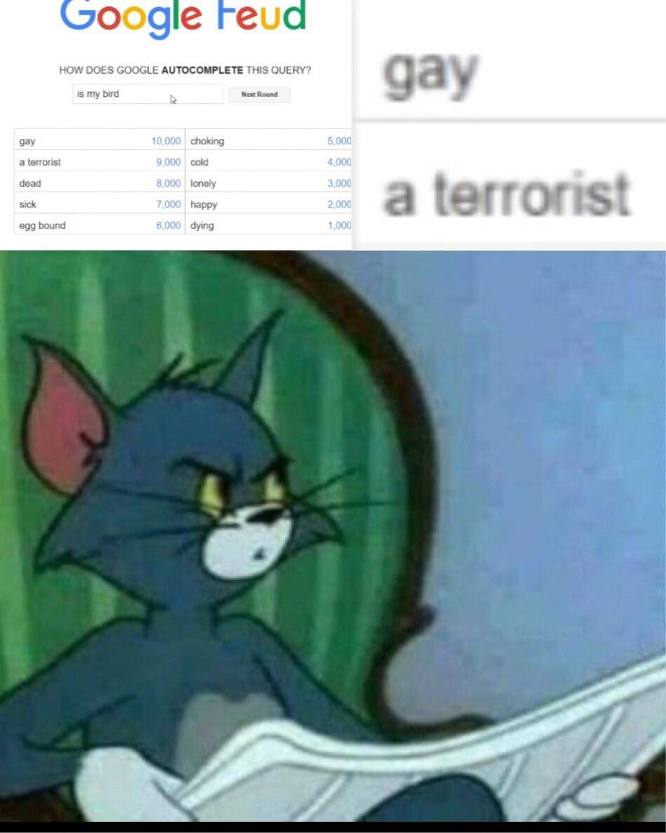 Google knows | Scrolller