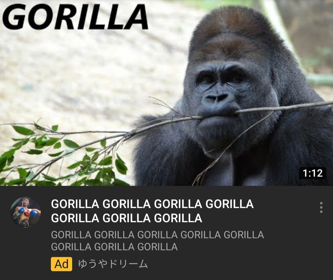 GORILLA | Scrolller