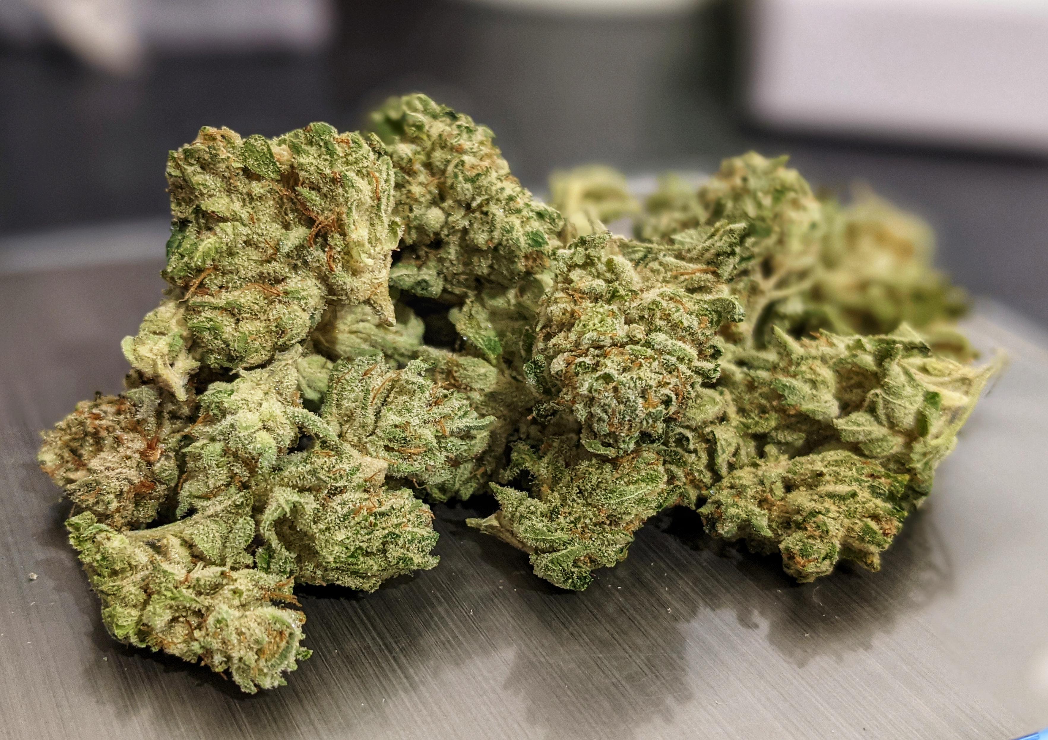 Gorilla Glue 🦍 | Scrolller