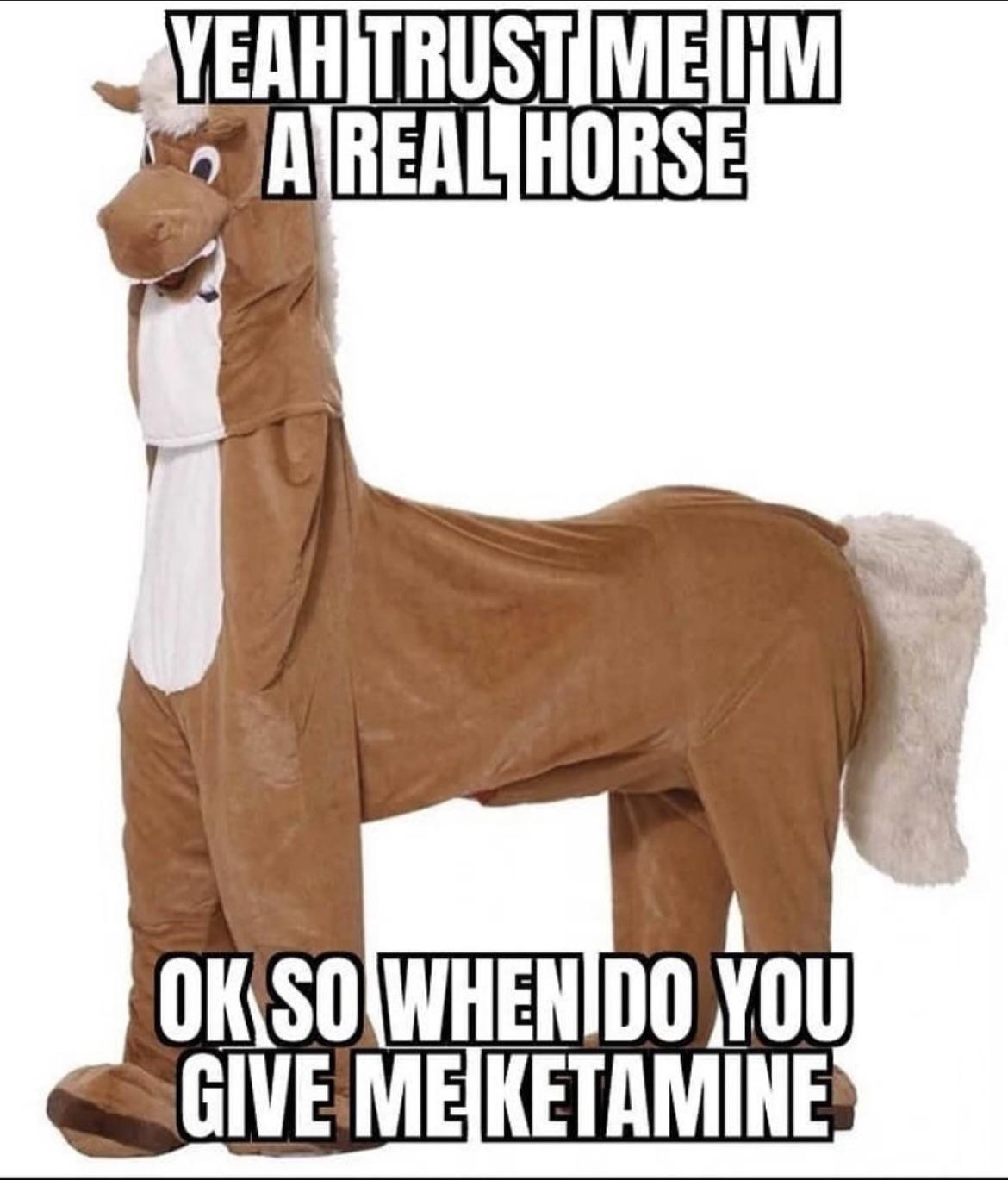 Got that drip drip 💉💉 | Scrolller