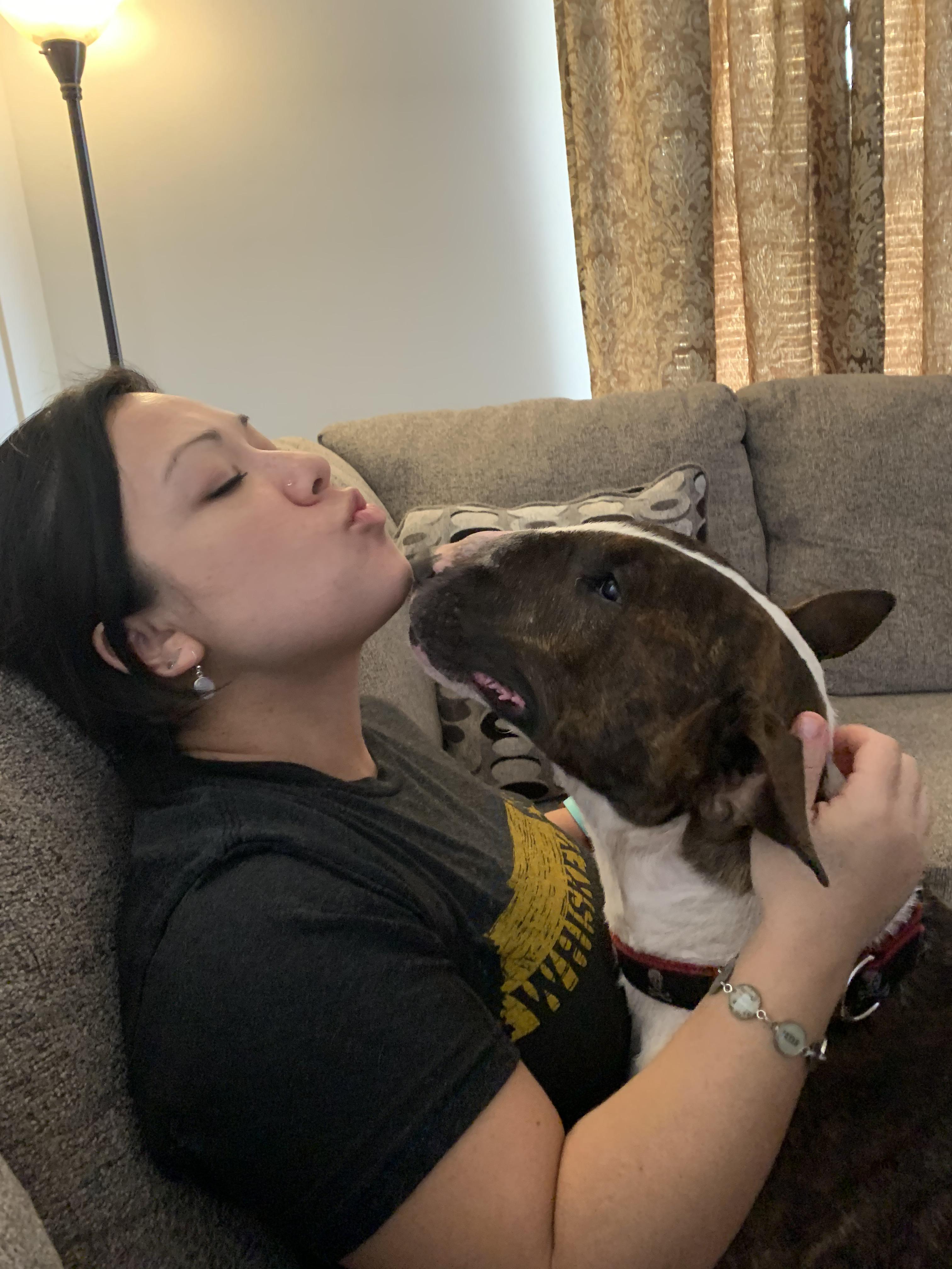 Got to adopt this beautiful bully today “Spartacus” | Scrolller