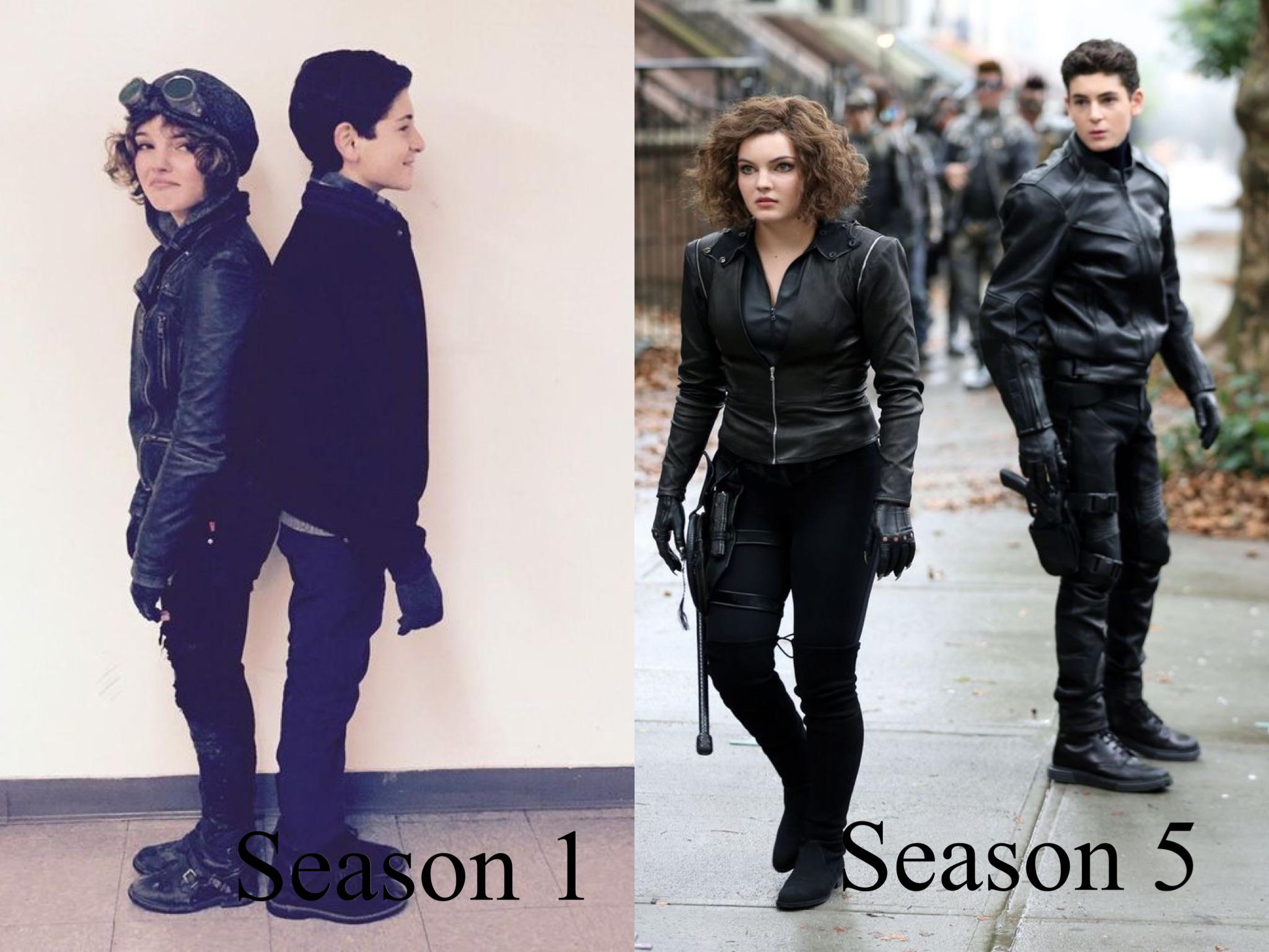 Gotham BatCat | Scrolller