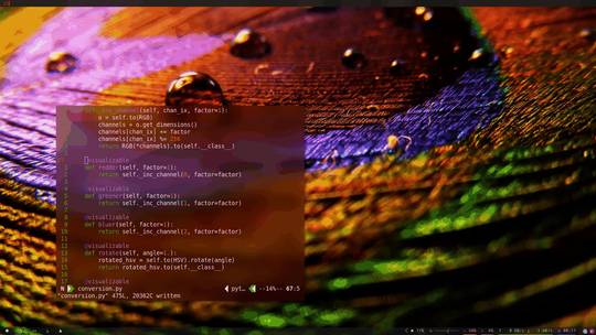 gotta go fast | Scrolller