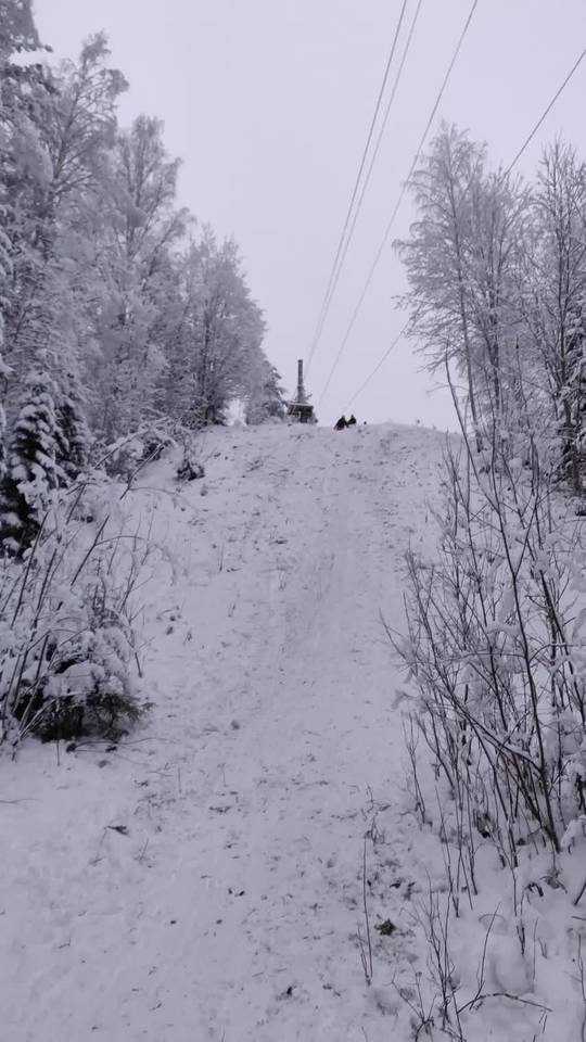 Sled Ride | Scrolller