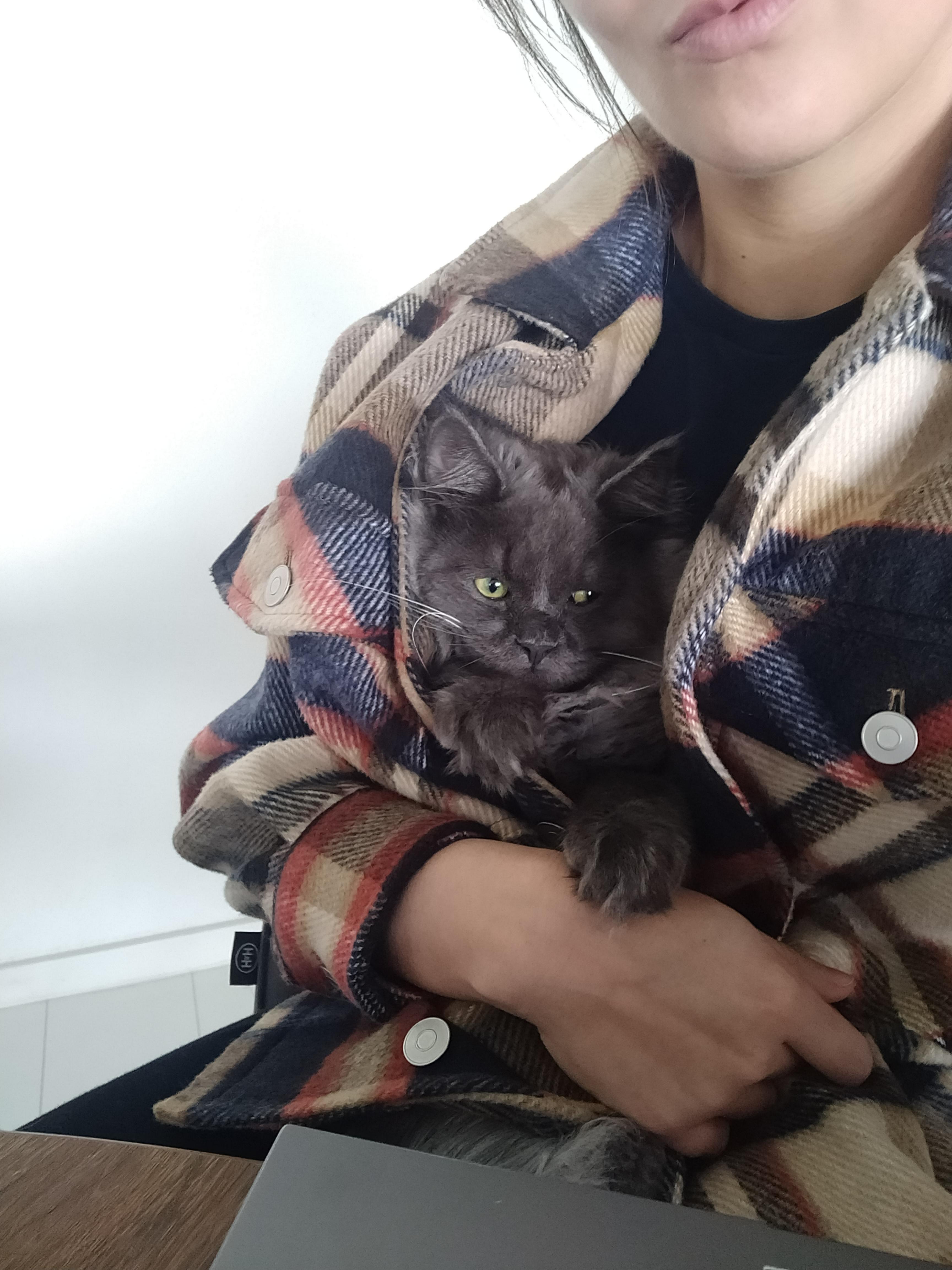 Gotta stay warm | Scrolller