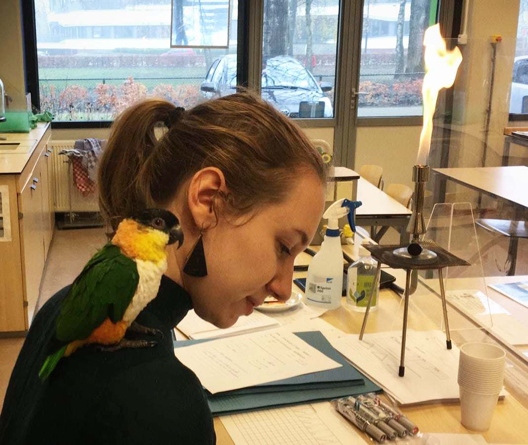 Grading work with Leuter. Always a pleasure! | Scrolller