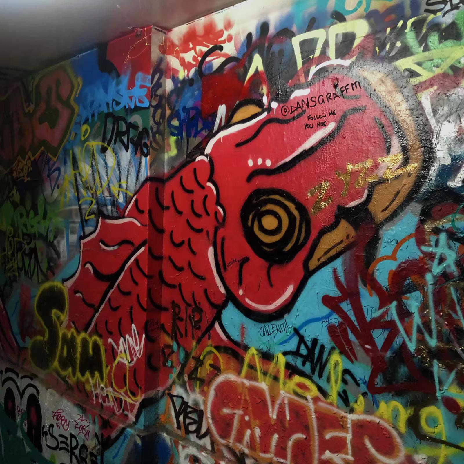 Graffiti in USYD | Scrolller