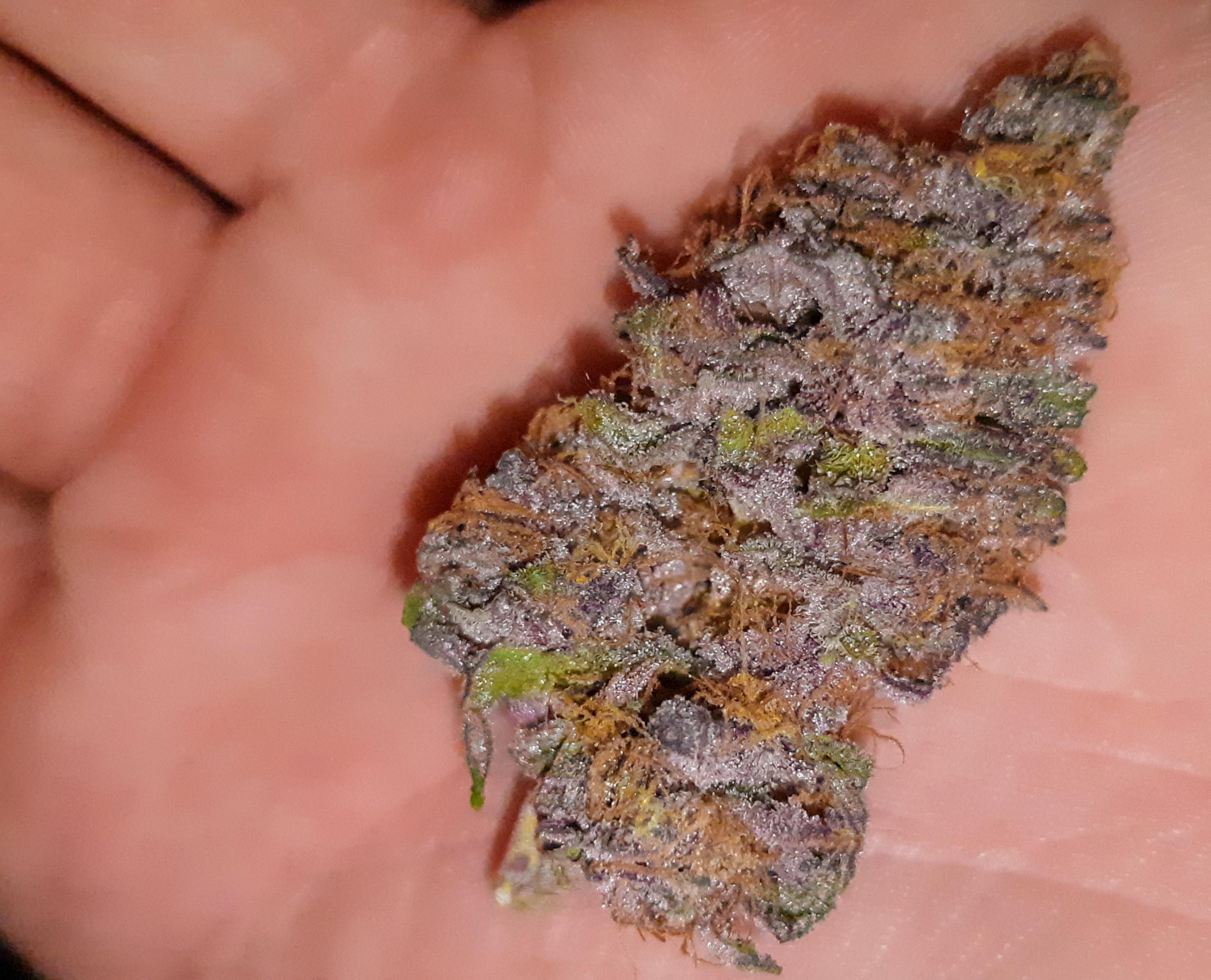 Grape Stomper | Scrolller