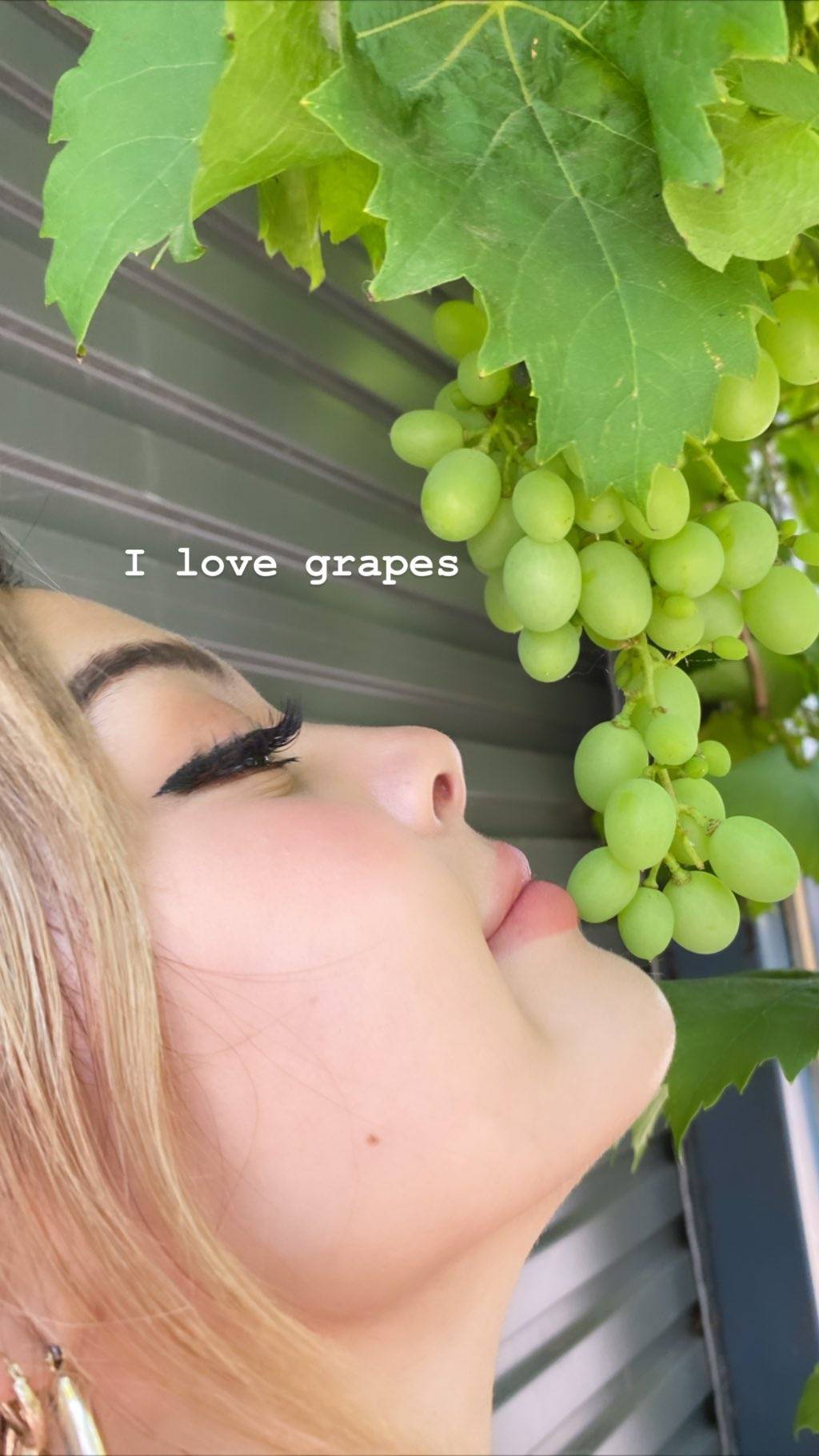 Grapes | Scrolller