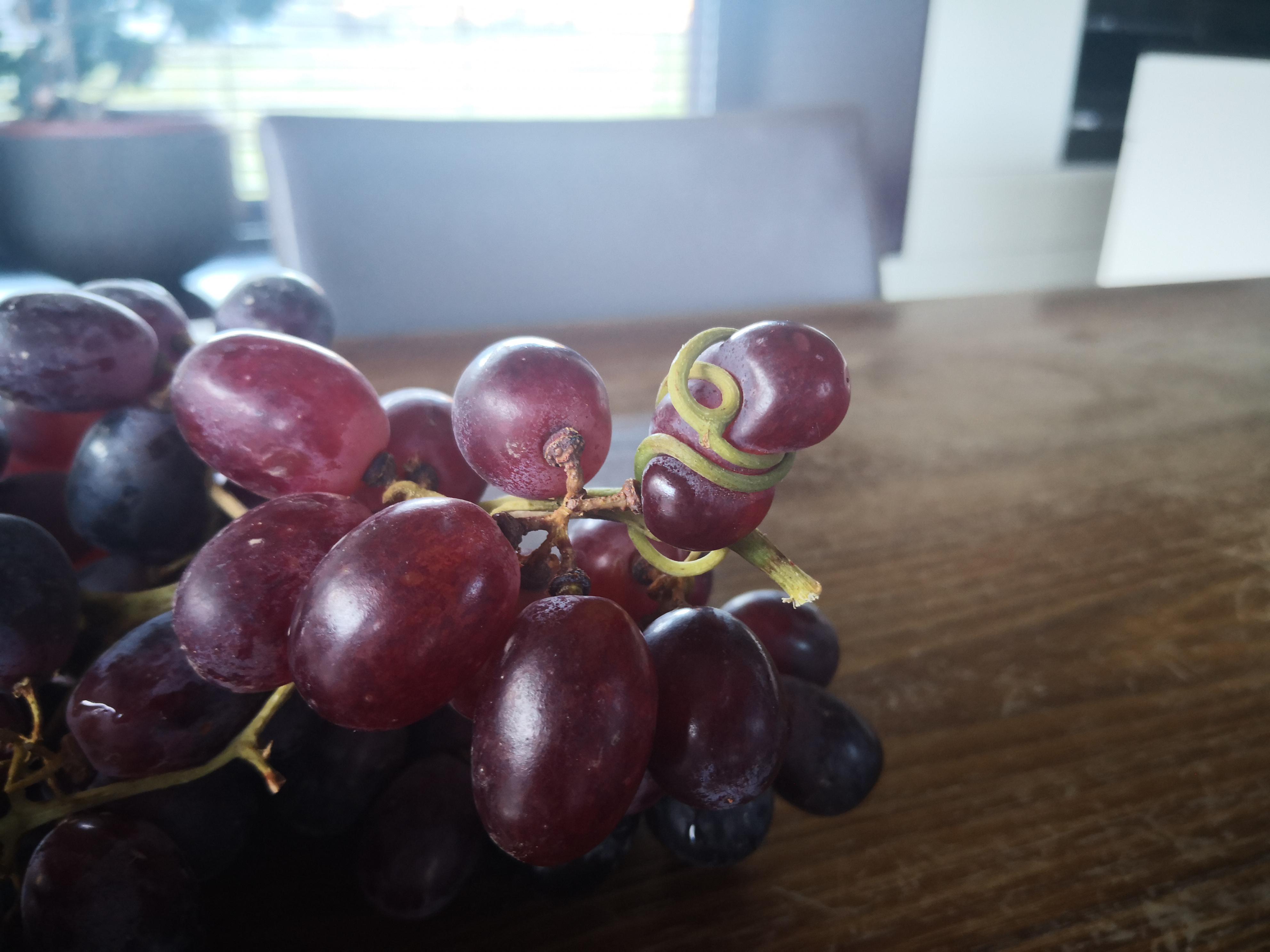 Grapes are into bondage too | Scrolller
