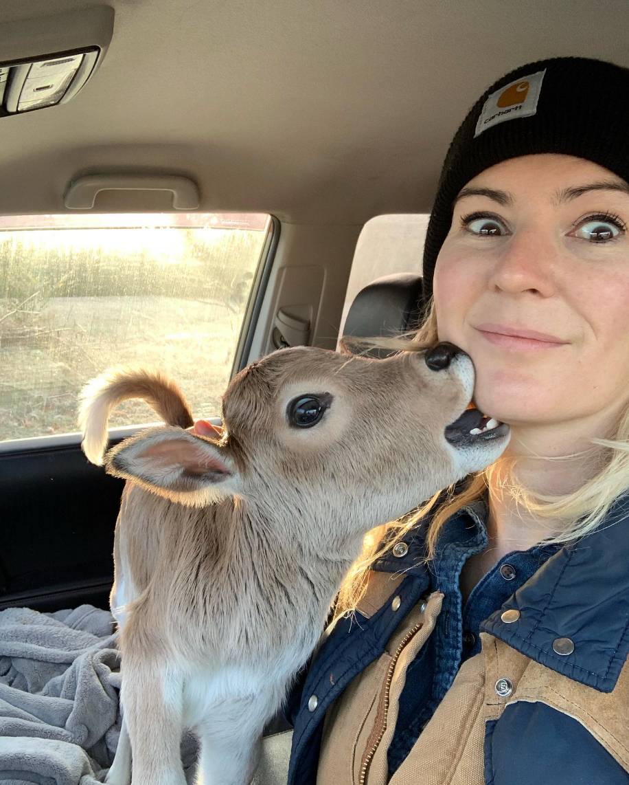 GrAsS fEd BeAst MaNgLeS pOOr wOmAns FaCe! | Scrolller