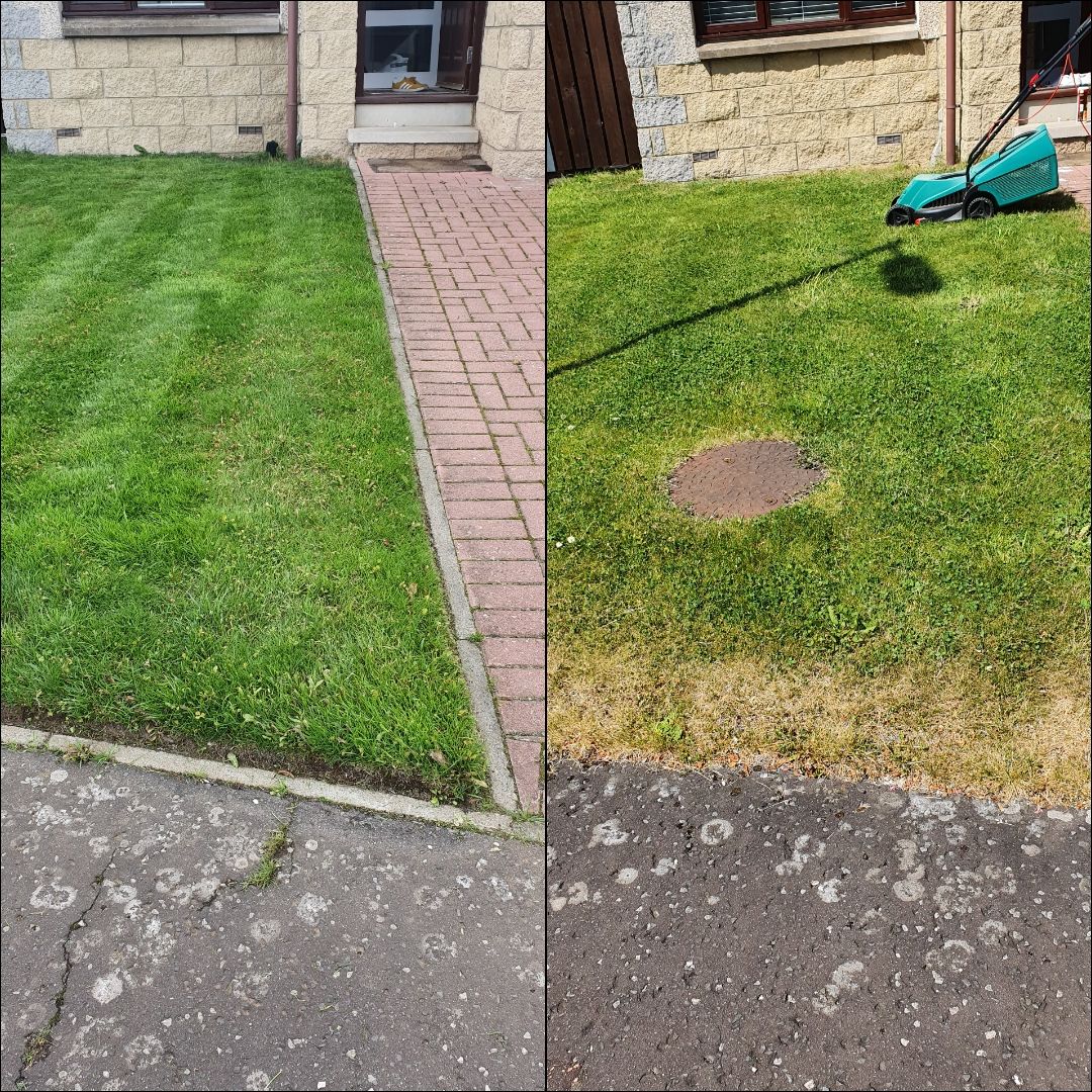 Grass progress | Scrolller