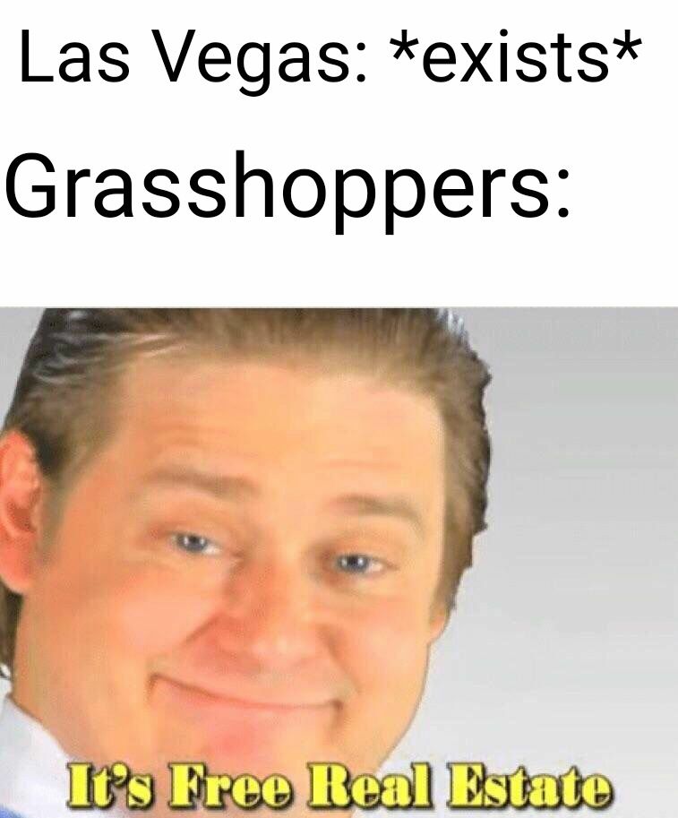 Grasshoppers, so hot right now! | Scrolller