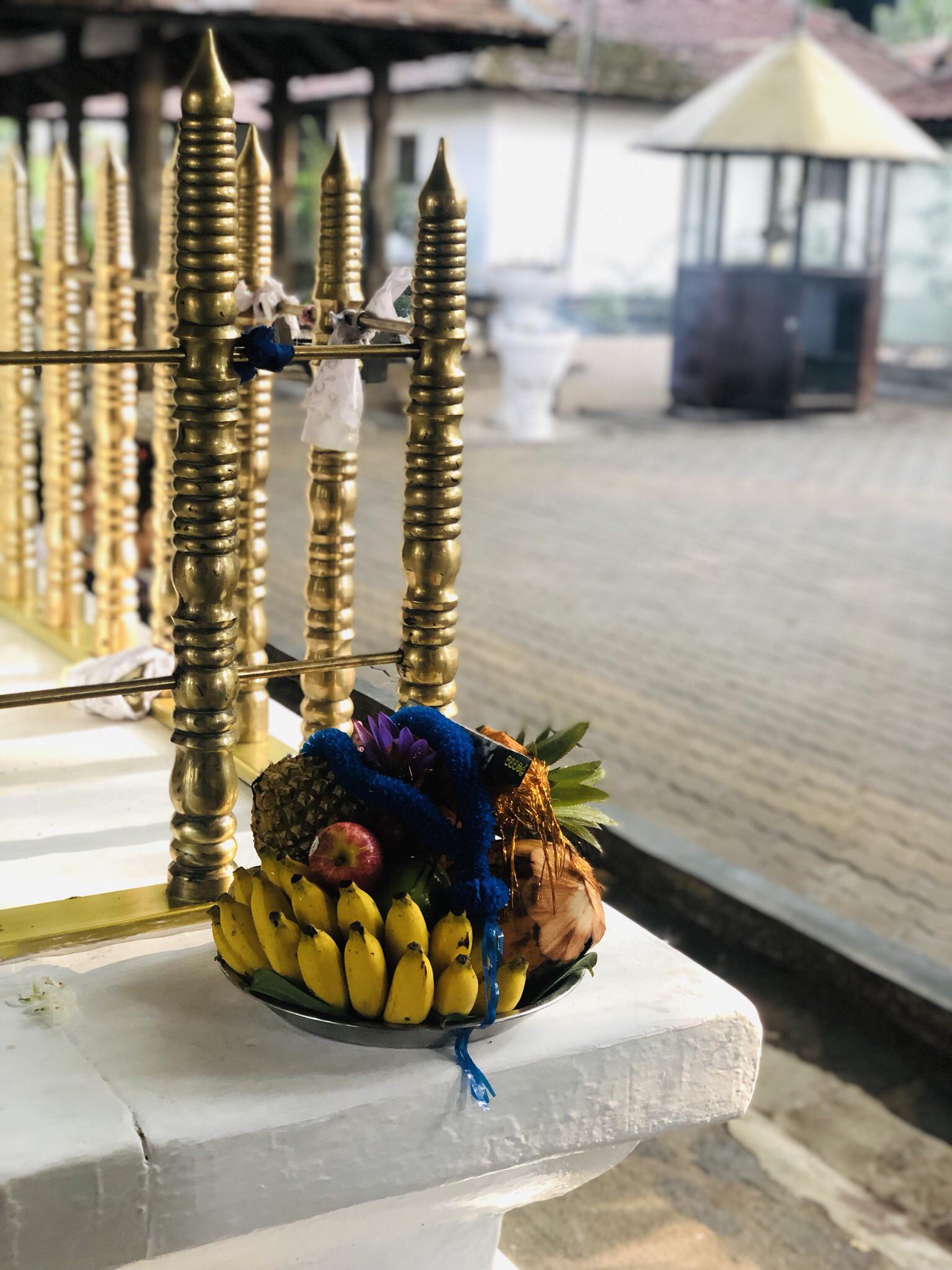 Gratitude is a strong feeling! | Scrolller